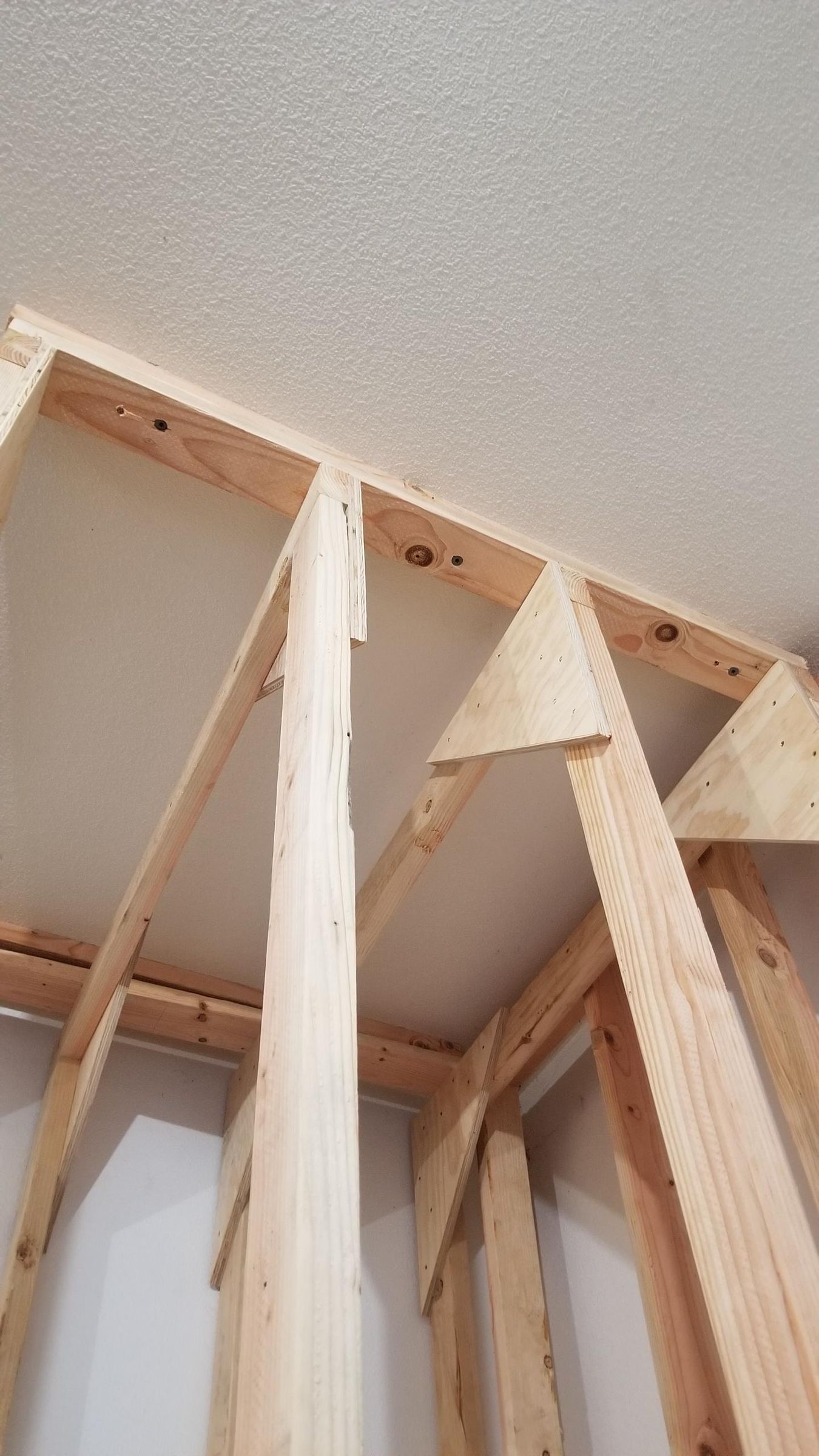 How to Build a Garage Bouldering Wall With Inside Storage Shelves : 13 ...