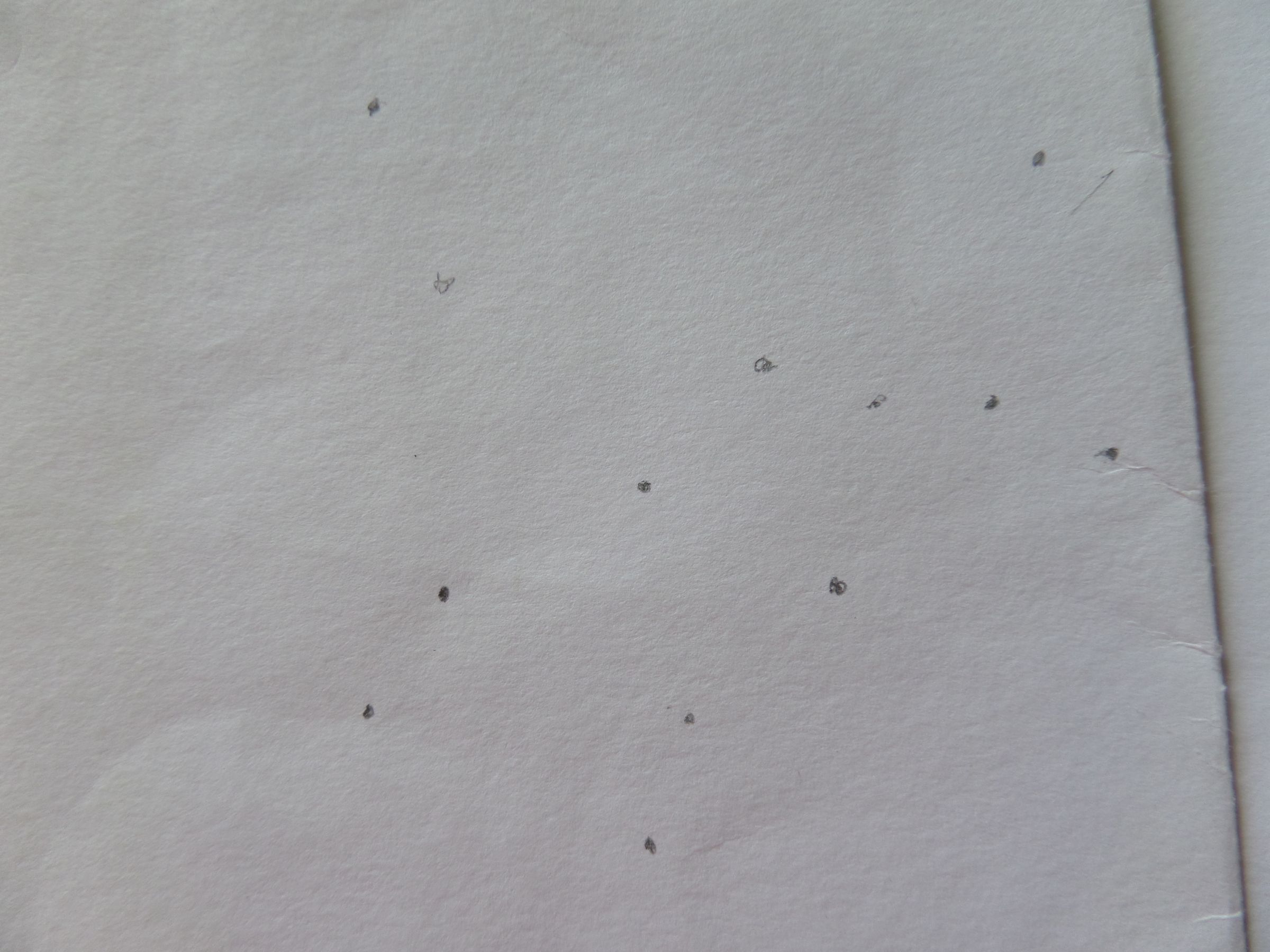 How to Draw Andromeda and Other Constellations : 8 Steps - Instructables