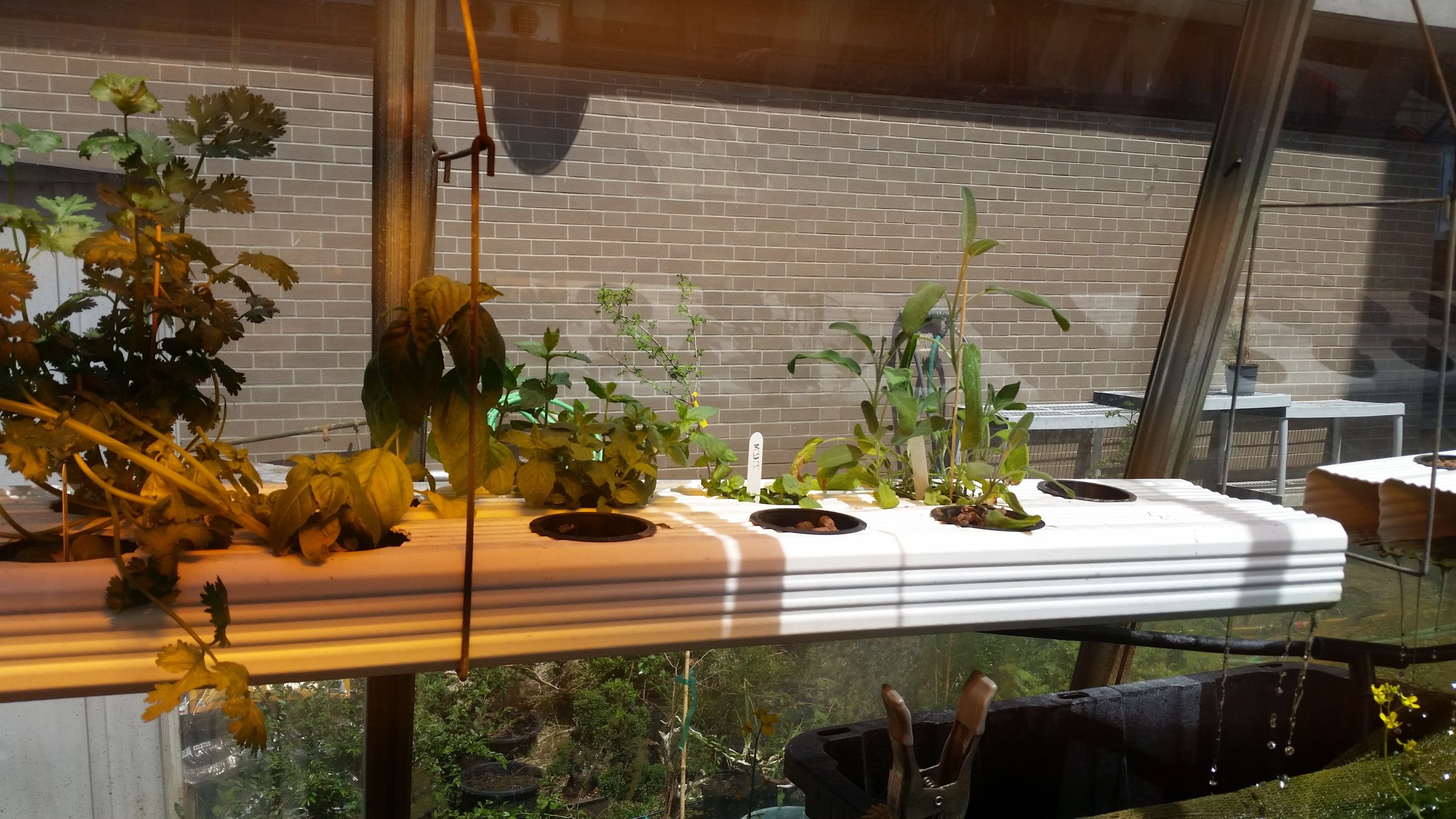 DIY Nutrient Film Technique (NFT) Hydroponic System! : 5 Steps (with ...