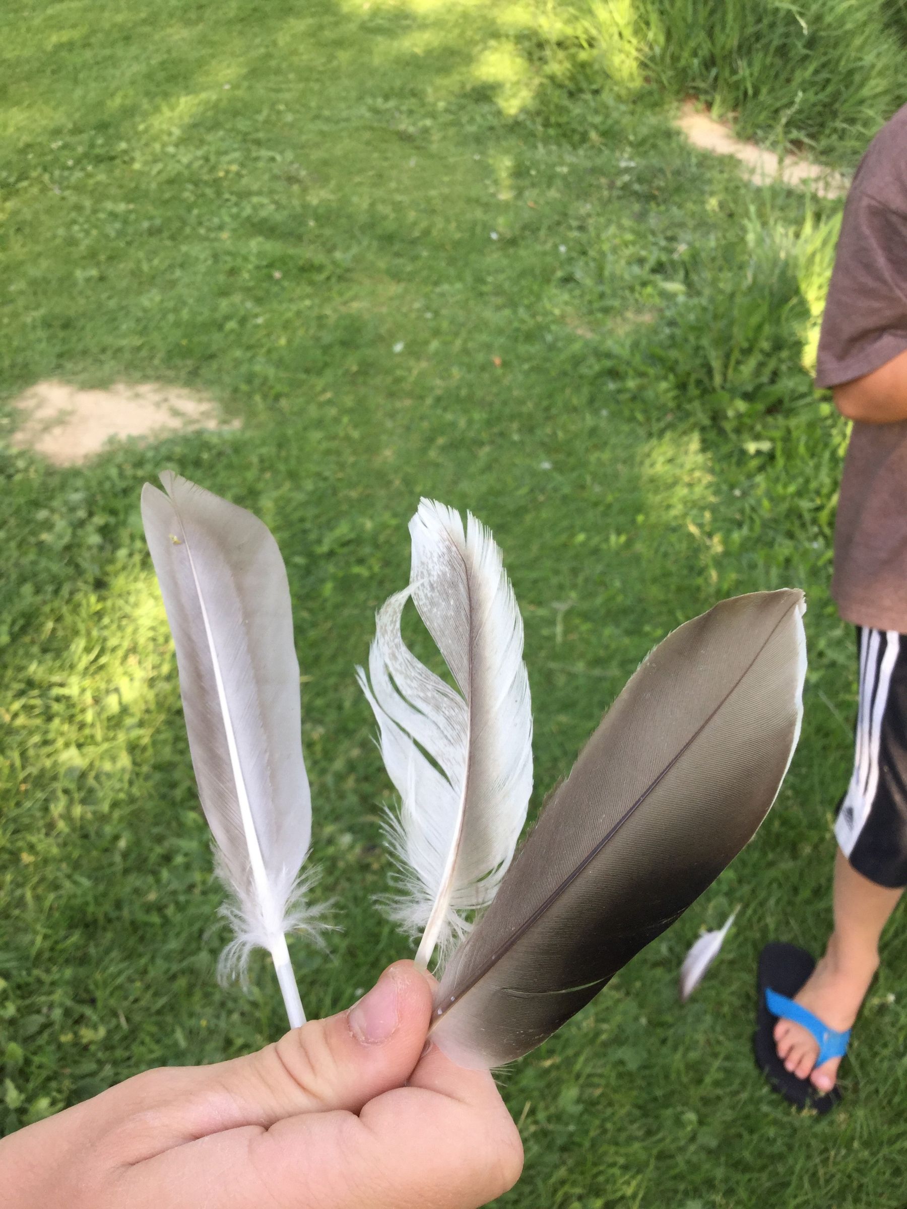 Homemade Bow and Arrow : 7 Steps - Instructables
