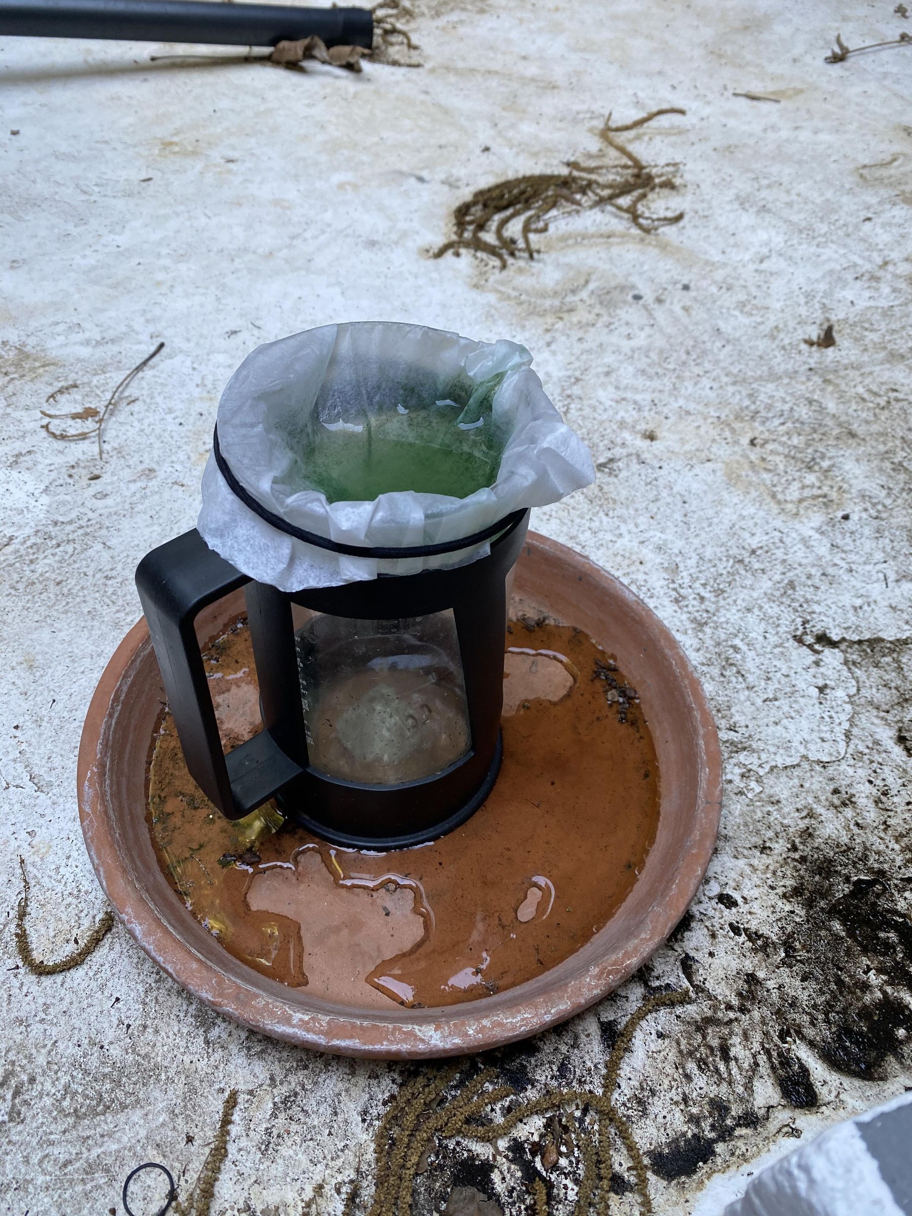 DIY Proof-of-concept Spirulina Photobioreactor to Reduce CO2 Emissions ...