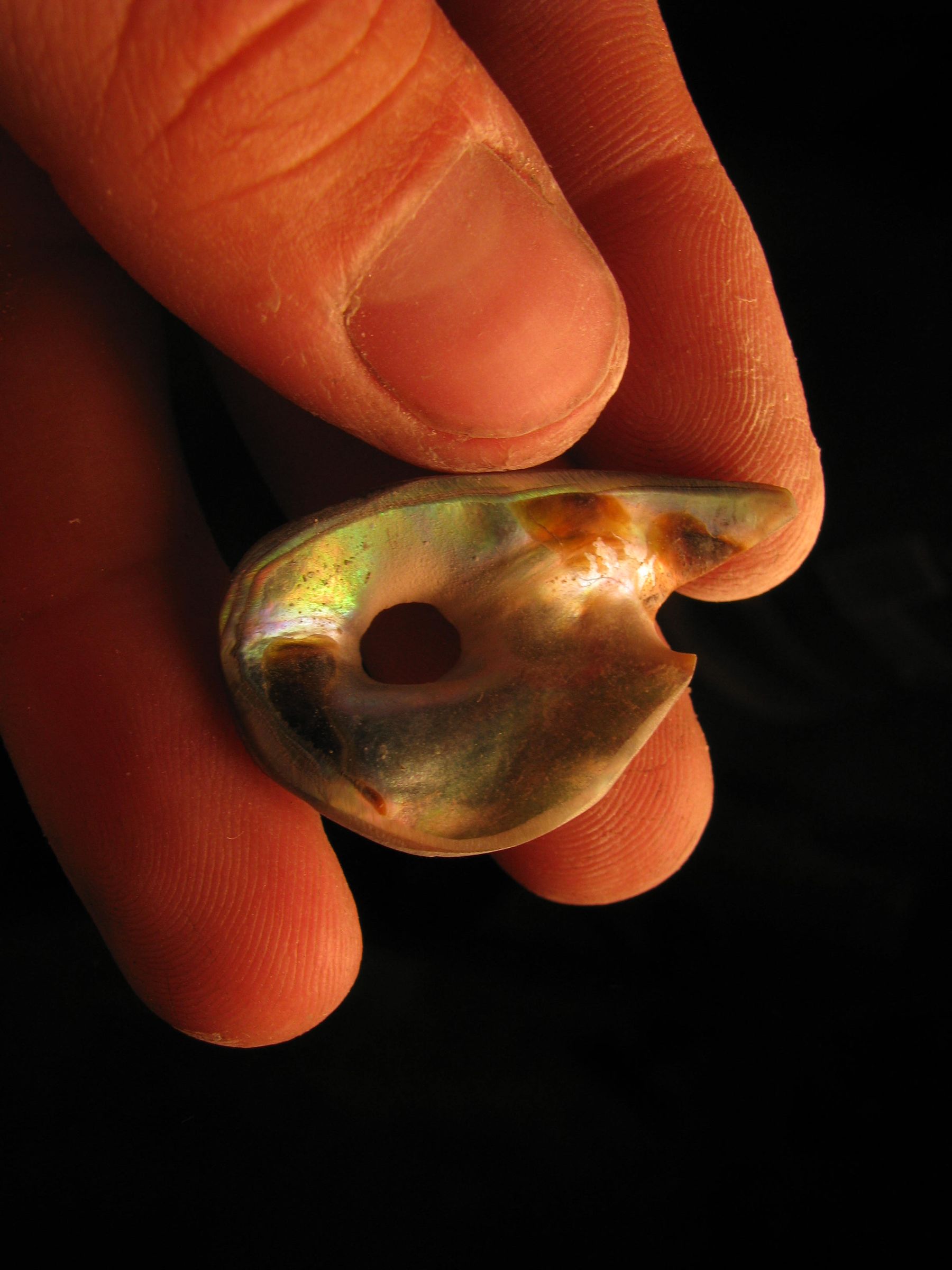 How to Polish Sea Shell : 4 Steps - Instructables