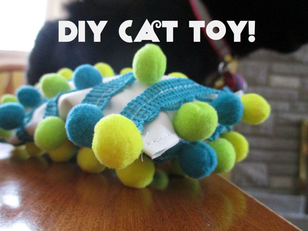 30 Amazing Homemade Cat Toys!