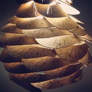 Bloom Parametric Pendant Lamp : 10 Steps (with Pictures) - Instructables