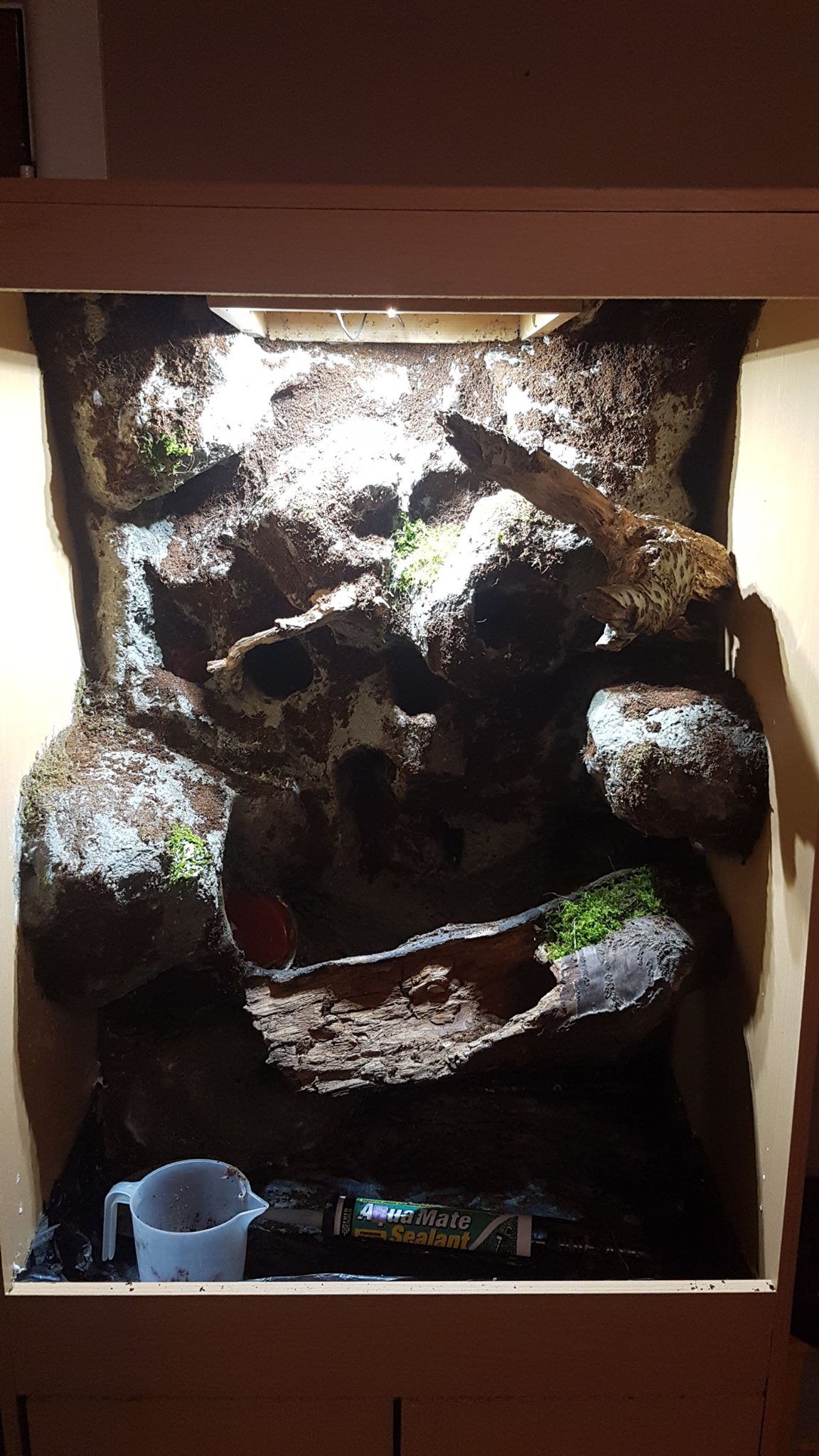 Convert Old Cupboard Into Amazing Vivarium : 4 Steps (with Pictures ...
