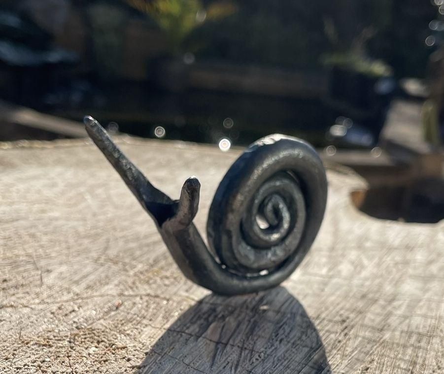 A Snail - With a Spring in It's Step : 8 Steps (with Pictures ...