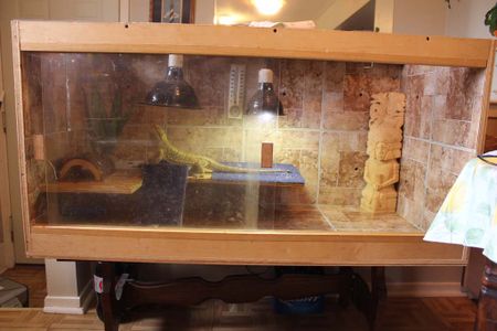 Bearded Dragon Enclosure : 5 Steps (with Pictures) - Instructables