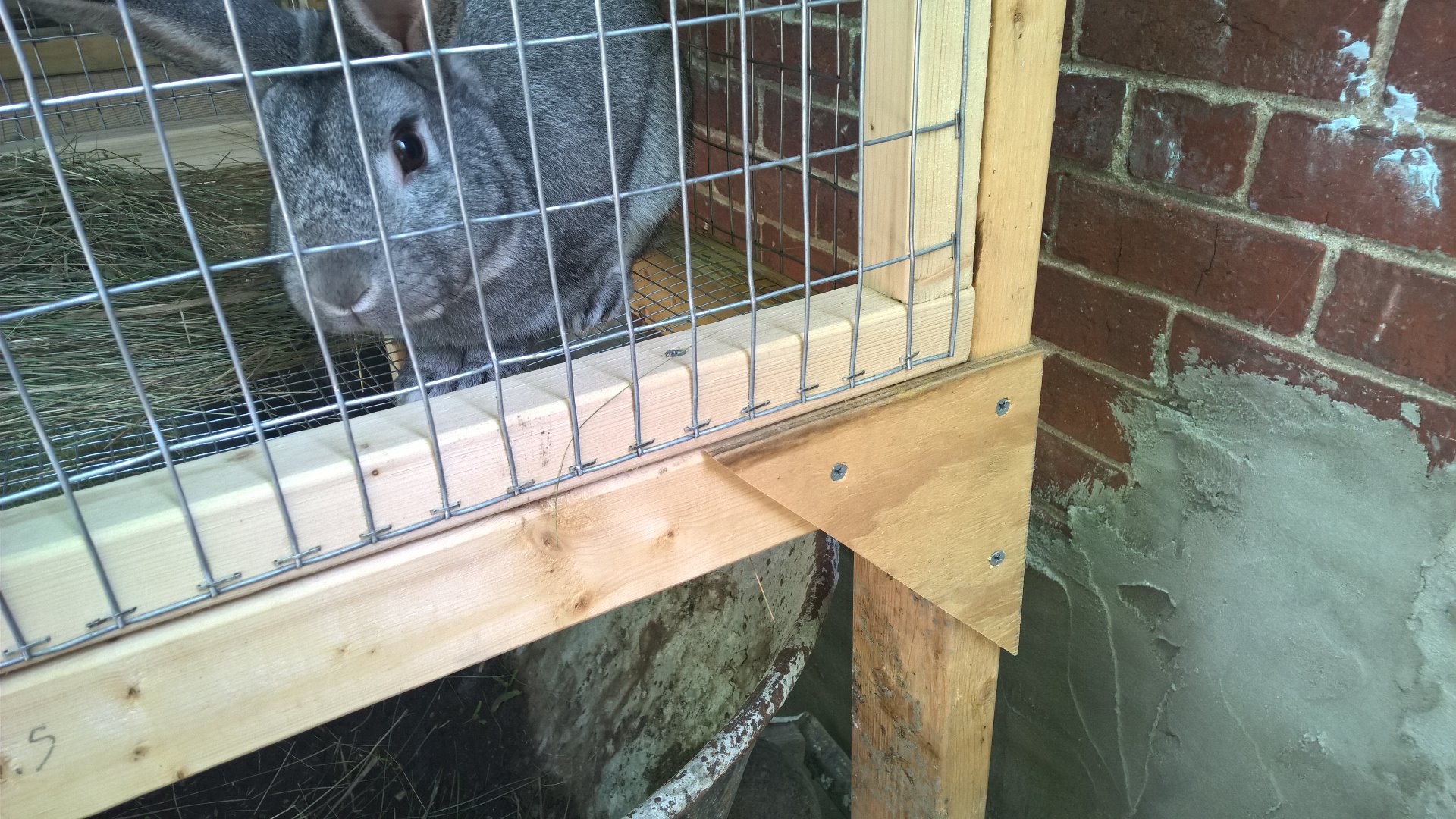 Building a Sectional Rabbit Hutch : 12 Steps (with Pictures ...