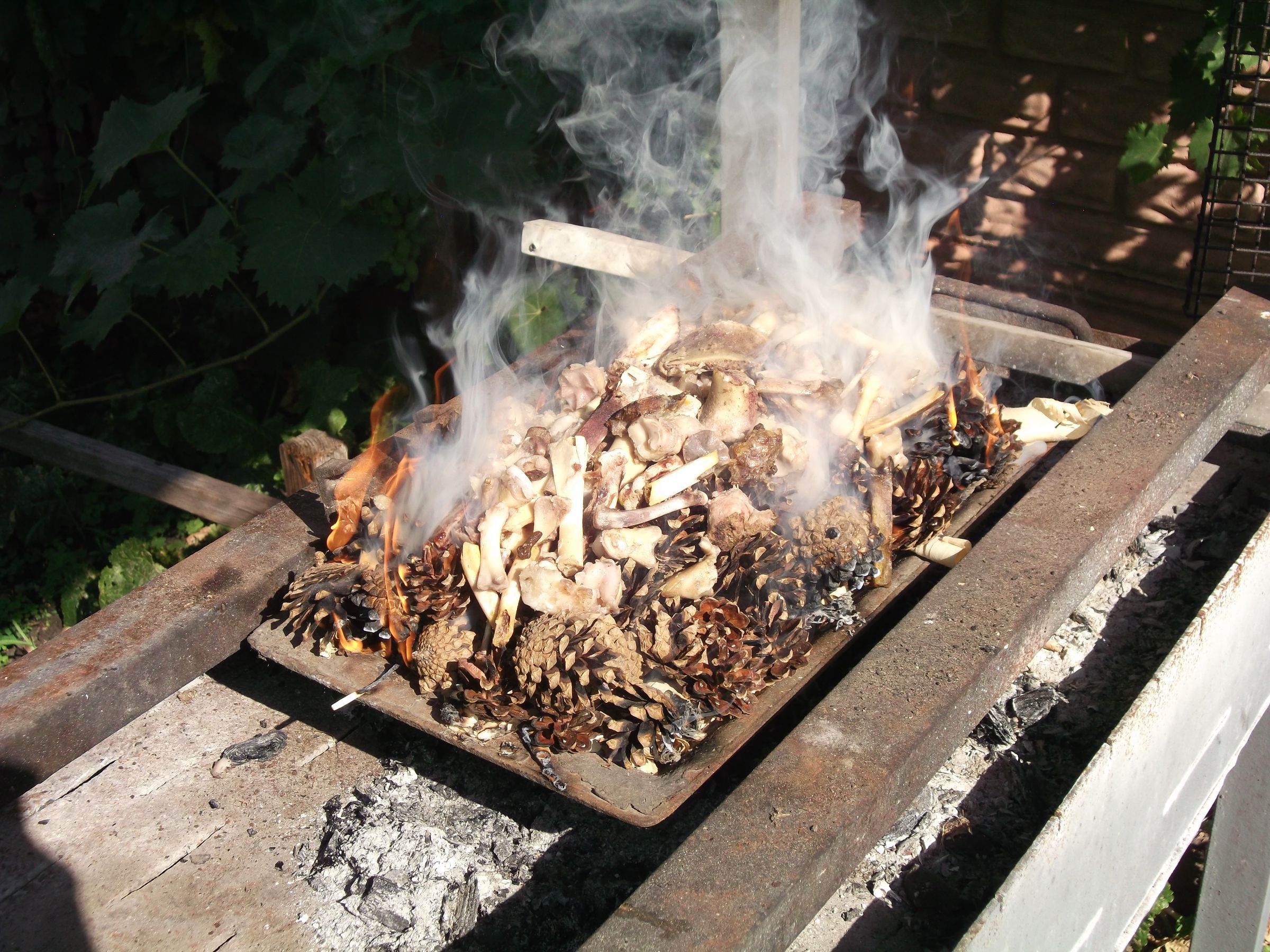 Processing Animal Bones for Composting (the Easy Way) : 7 Steps (with ...