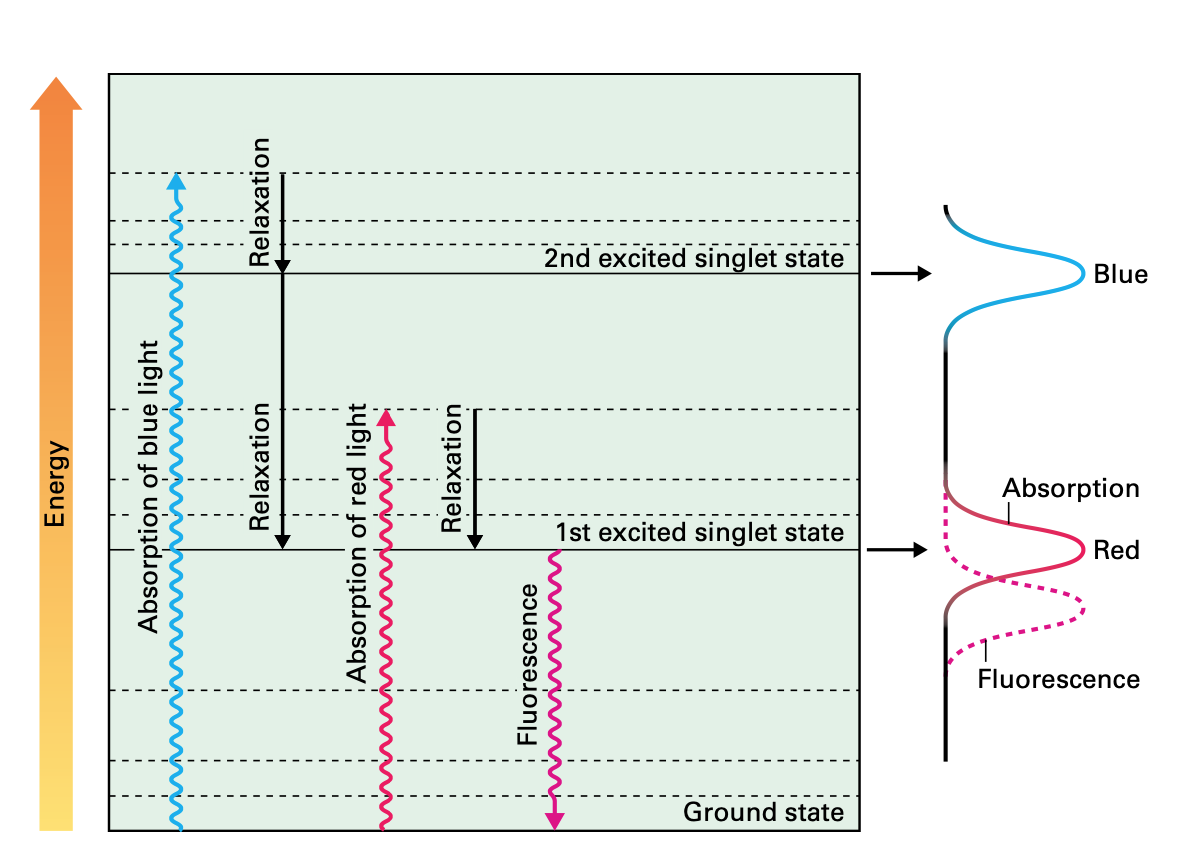 A DIY Imaging Fluorometer : 8 Steps (with Pictures) - Instructables