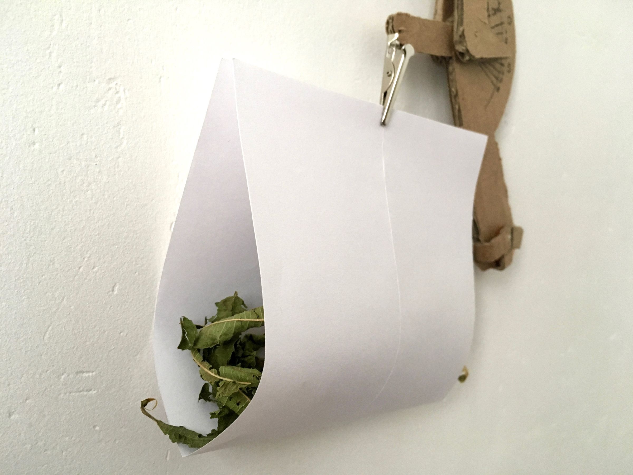 Cardboard Weighing Scale : 7 Steps (with Pictures) - Instructables