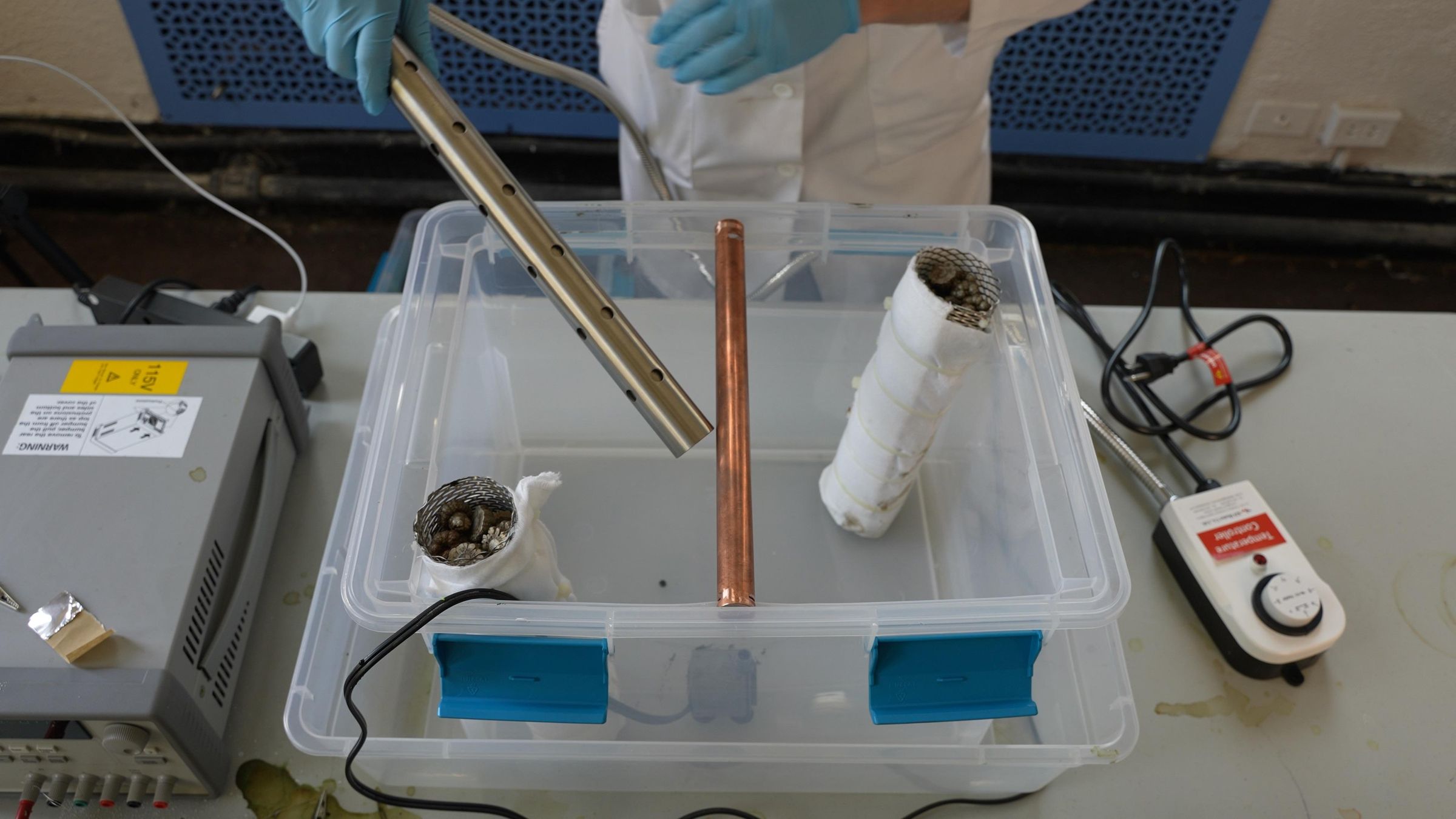 No-Fail Metal Plating With Kitchen Chemistry : 8 Steps (with Pictures ...