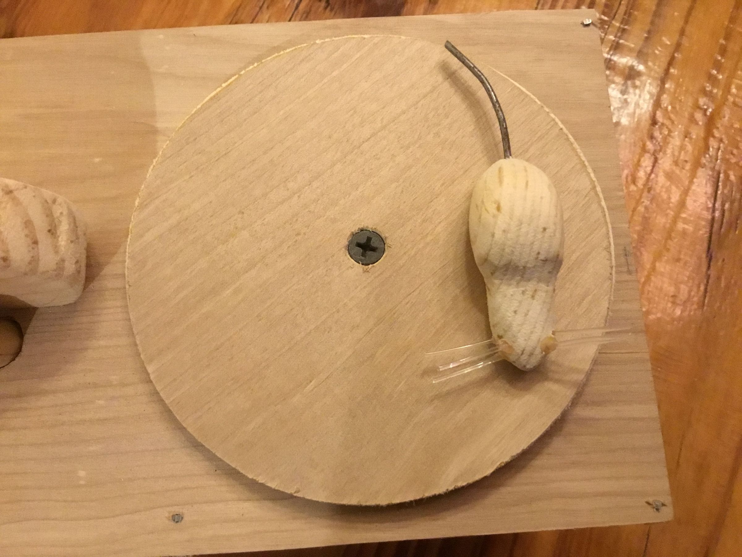 Cat and Mouse Automata : 10 Steps - Instructables