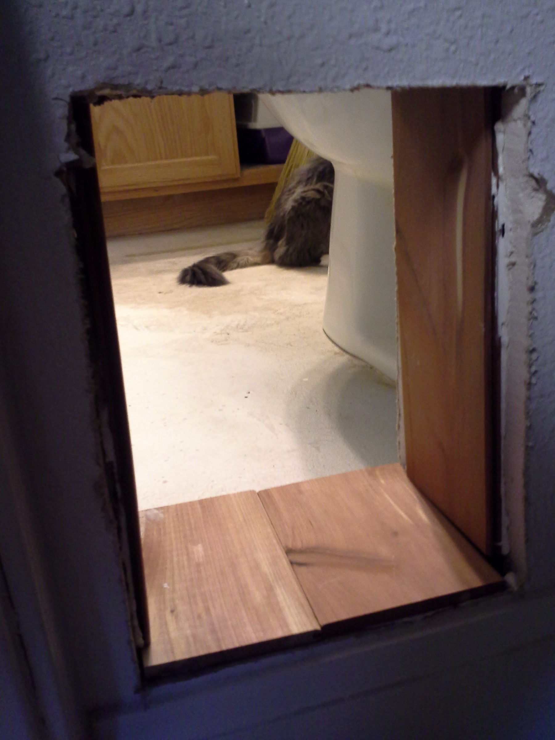 Fancy Cat Door : 4 Steps - Instructables