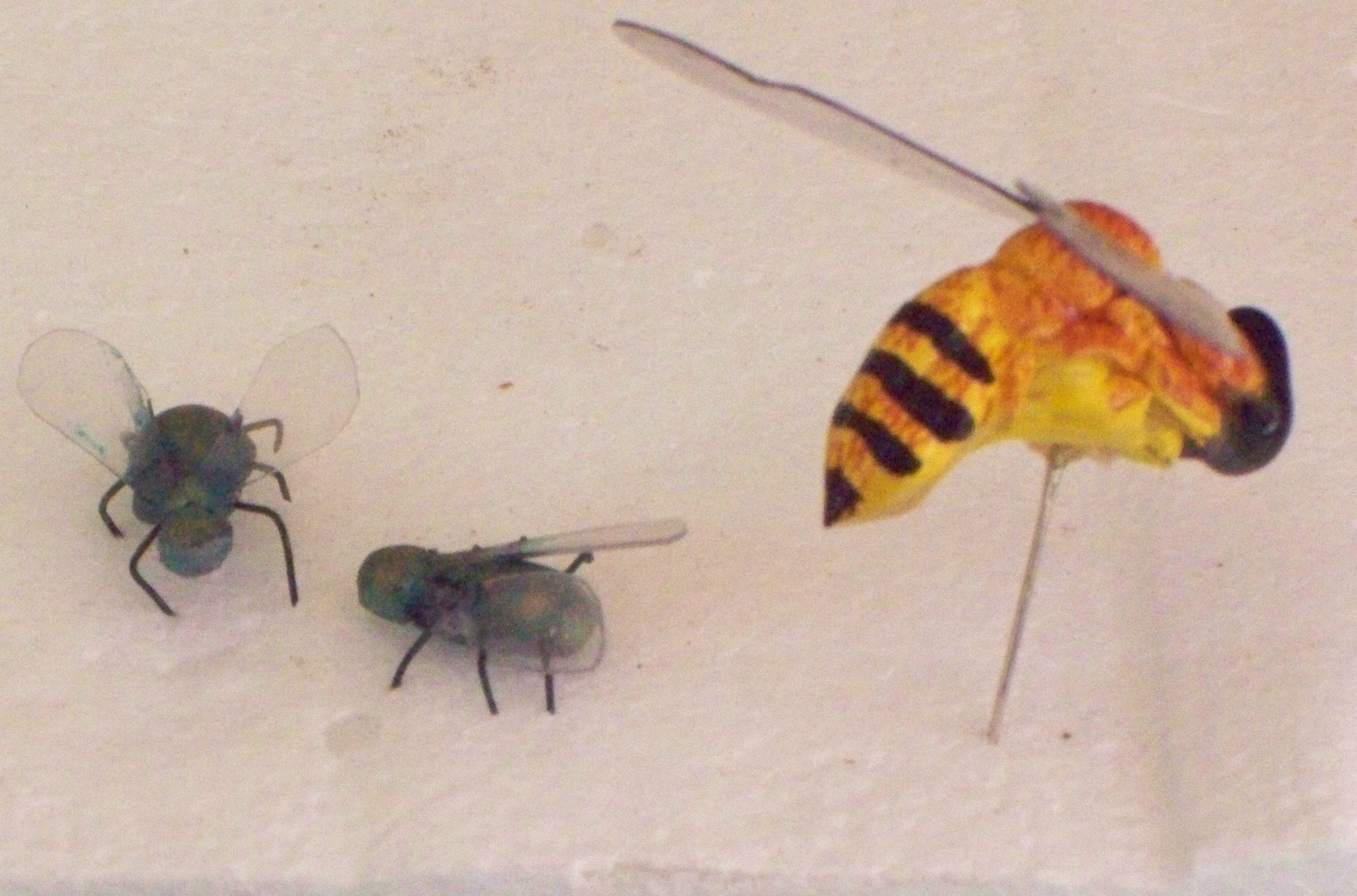 How to Make Glue Bugs : 9 Steps (with Pictures) - Instructables