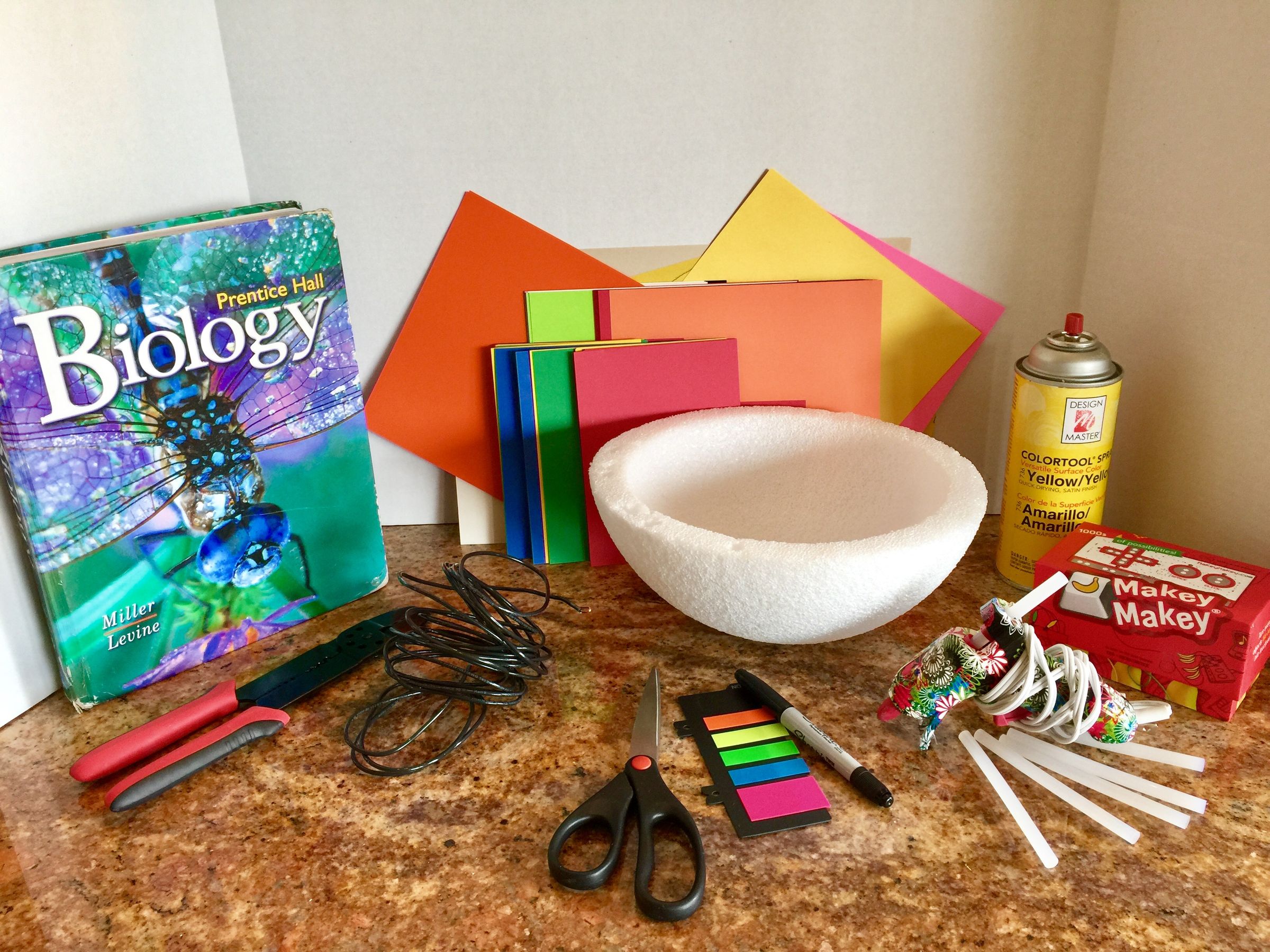 Interactive Cell Model : 28 Steps (with Pictures) - Instructables