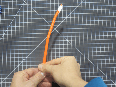 Chicken Foot Dissection : 7 Steps - Instructables