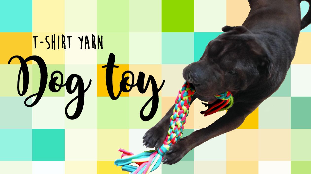 How to Make a Dog Toy : 5 Steps (with Pictures) - Instructables