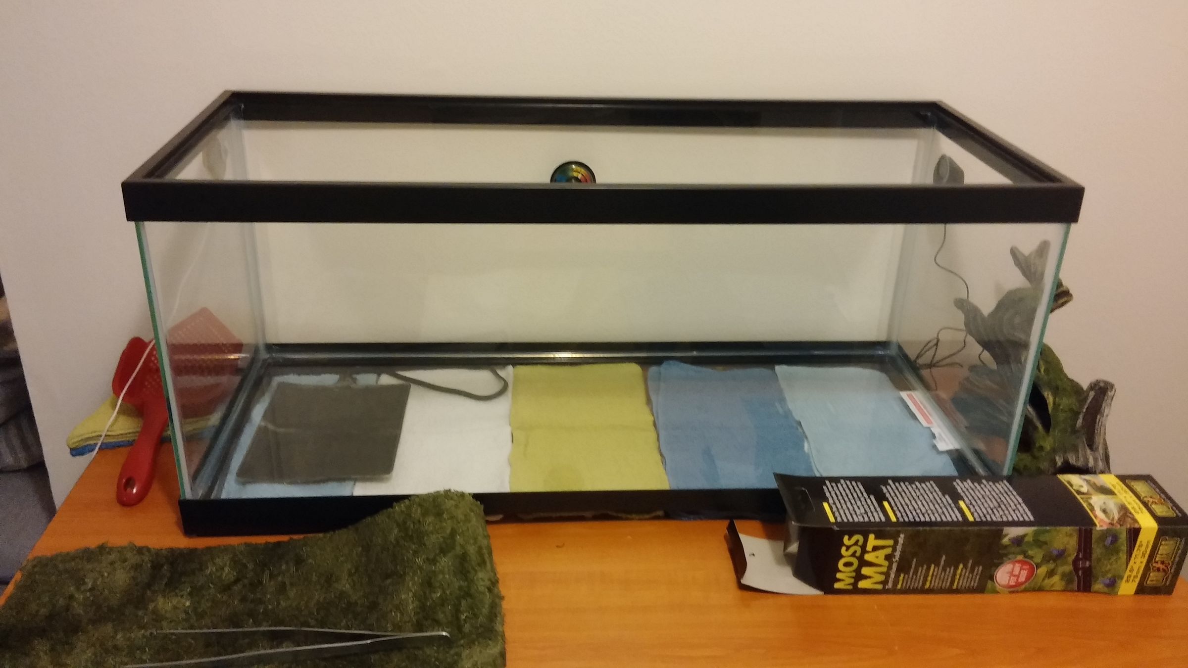 How to Set Up a Reptile Terrarium : 8 Steps (with Pictures) - Instructables