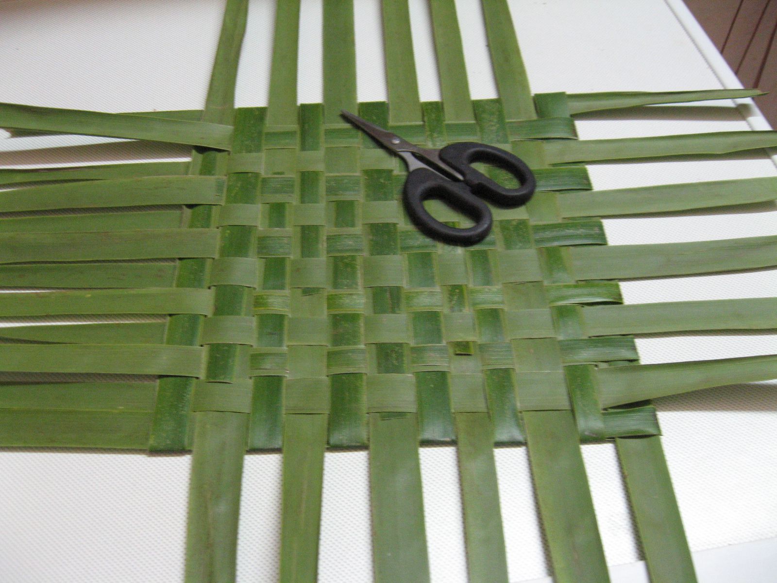 How to Weave a Small Mat From Coconut Leaves : 4 Steps (with Pictures ...