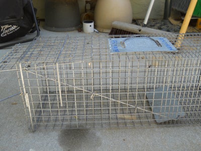 Remote Control Cage Trap : 5 Steps (with Pictures) - Instructables