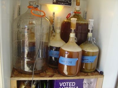 Converting a Fridge for Fermenting Beer : 7 Steps (with Pictures ...