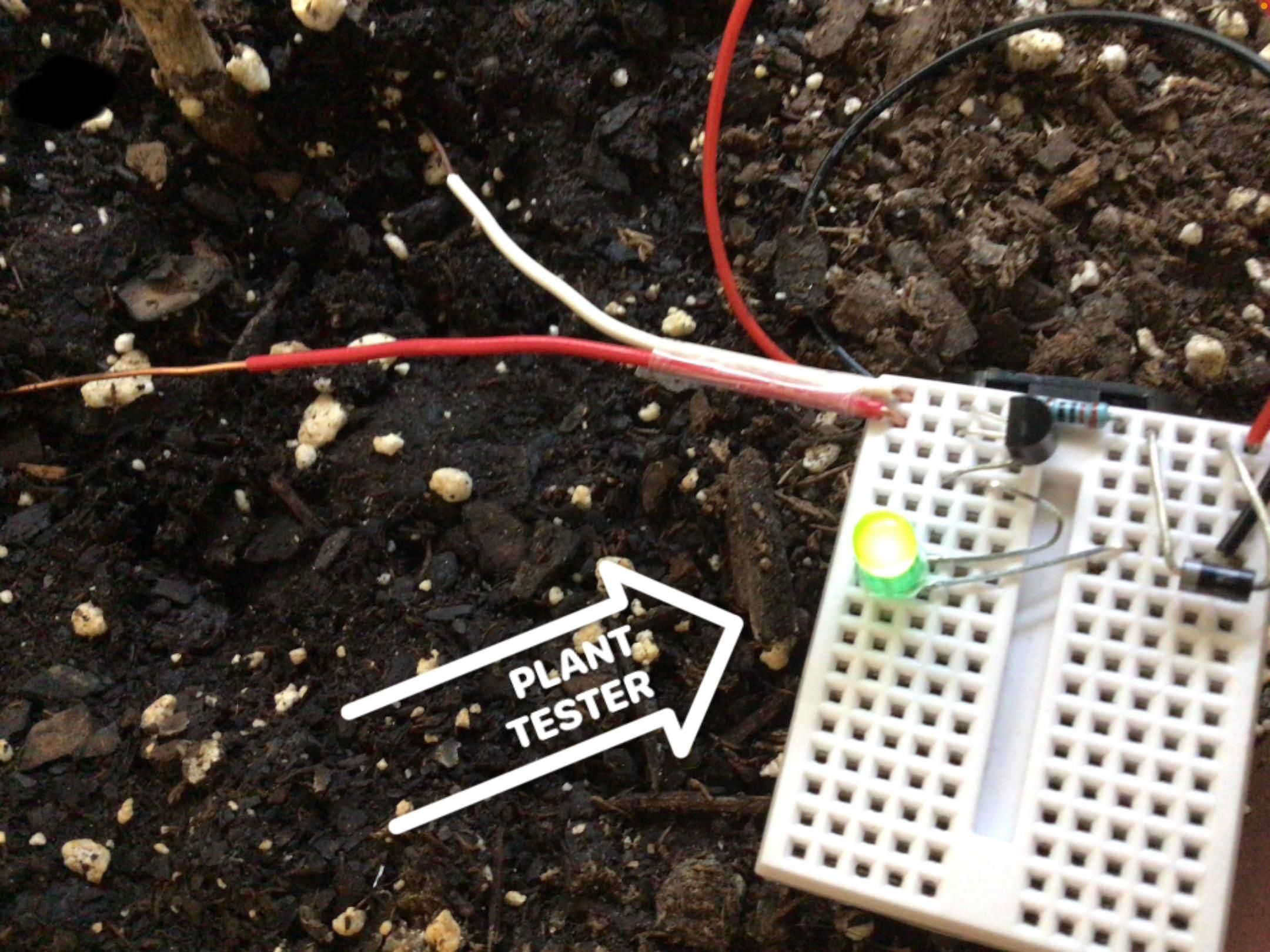 Plant Tester : 5 Steps (with Pictures) - Instructables