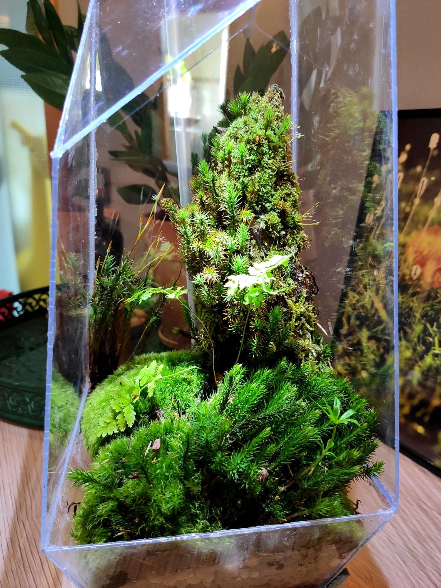 The Eco-Crystal - Mini Ecosystem in a Crystal Shaped Planter : 7 Steps ...