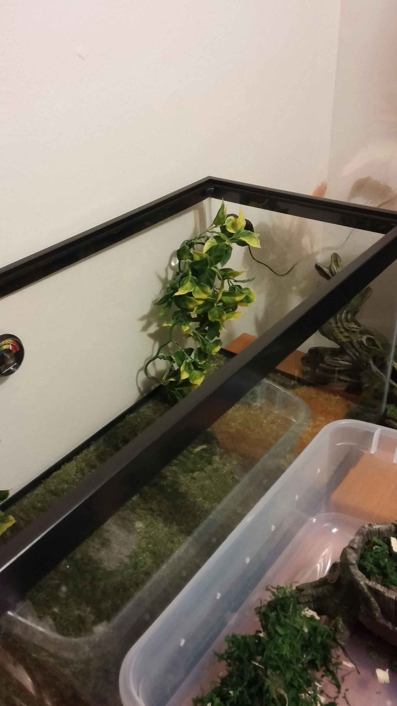 How to Set Up a Reptile Terrarium : 8 Steps (with Pictures) - Instructables