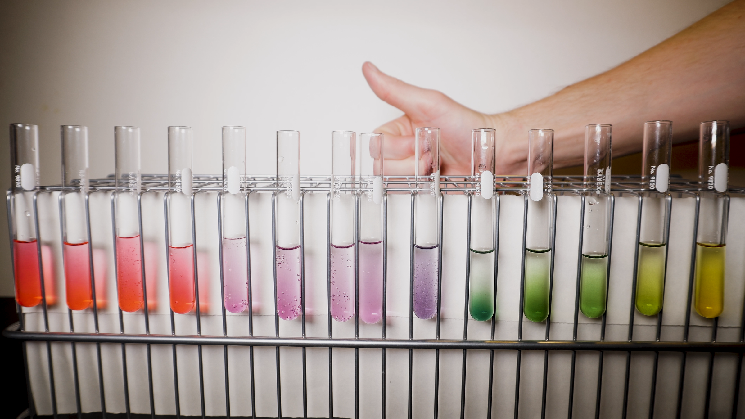 Extracting Anthocyanin: a Natural PH Indicator : 5 Steps (with Pictures ...
