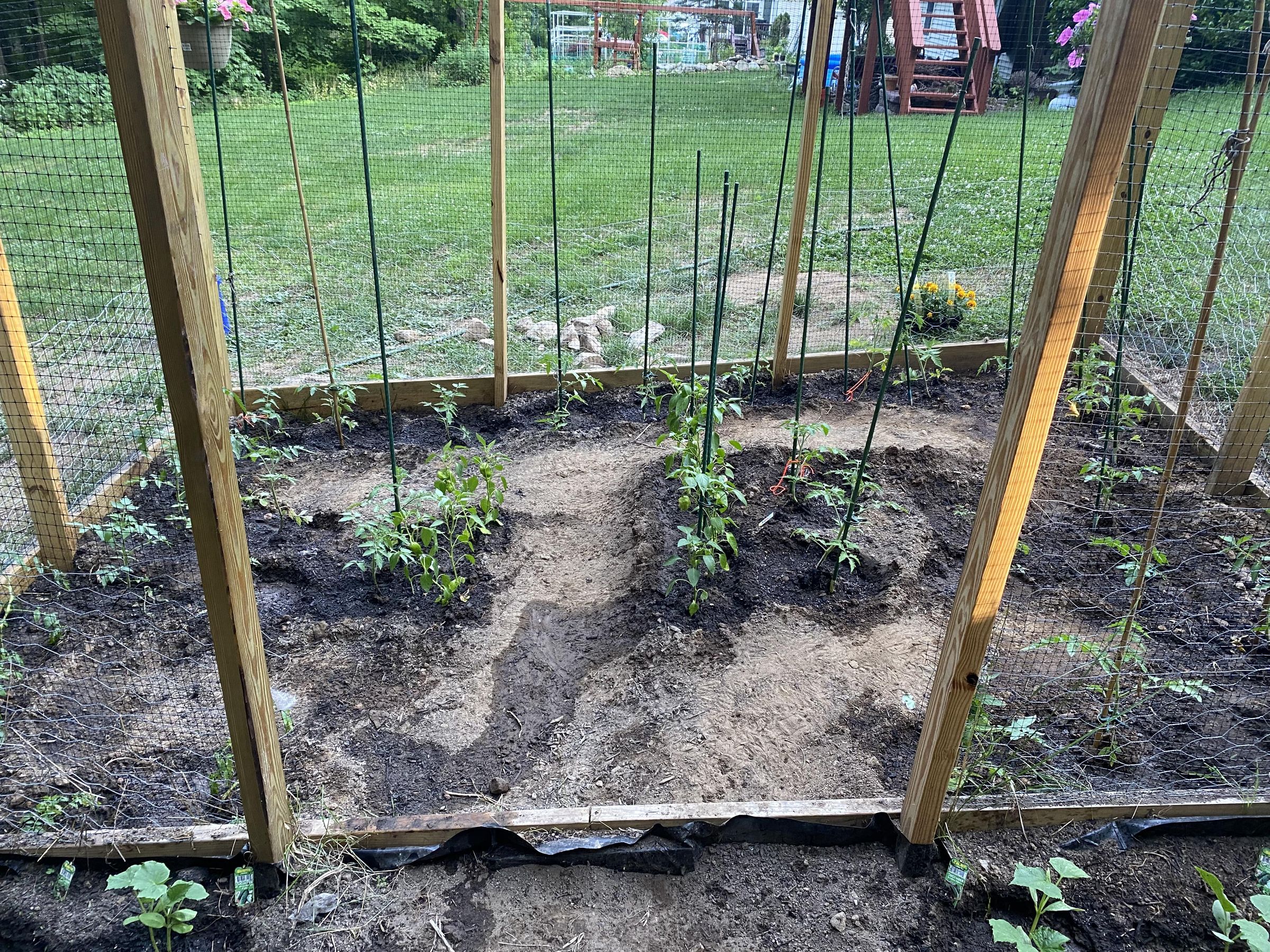 Protected Garden Enclosure 2.0 : 7 Steps (with Pictures) - Instructables