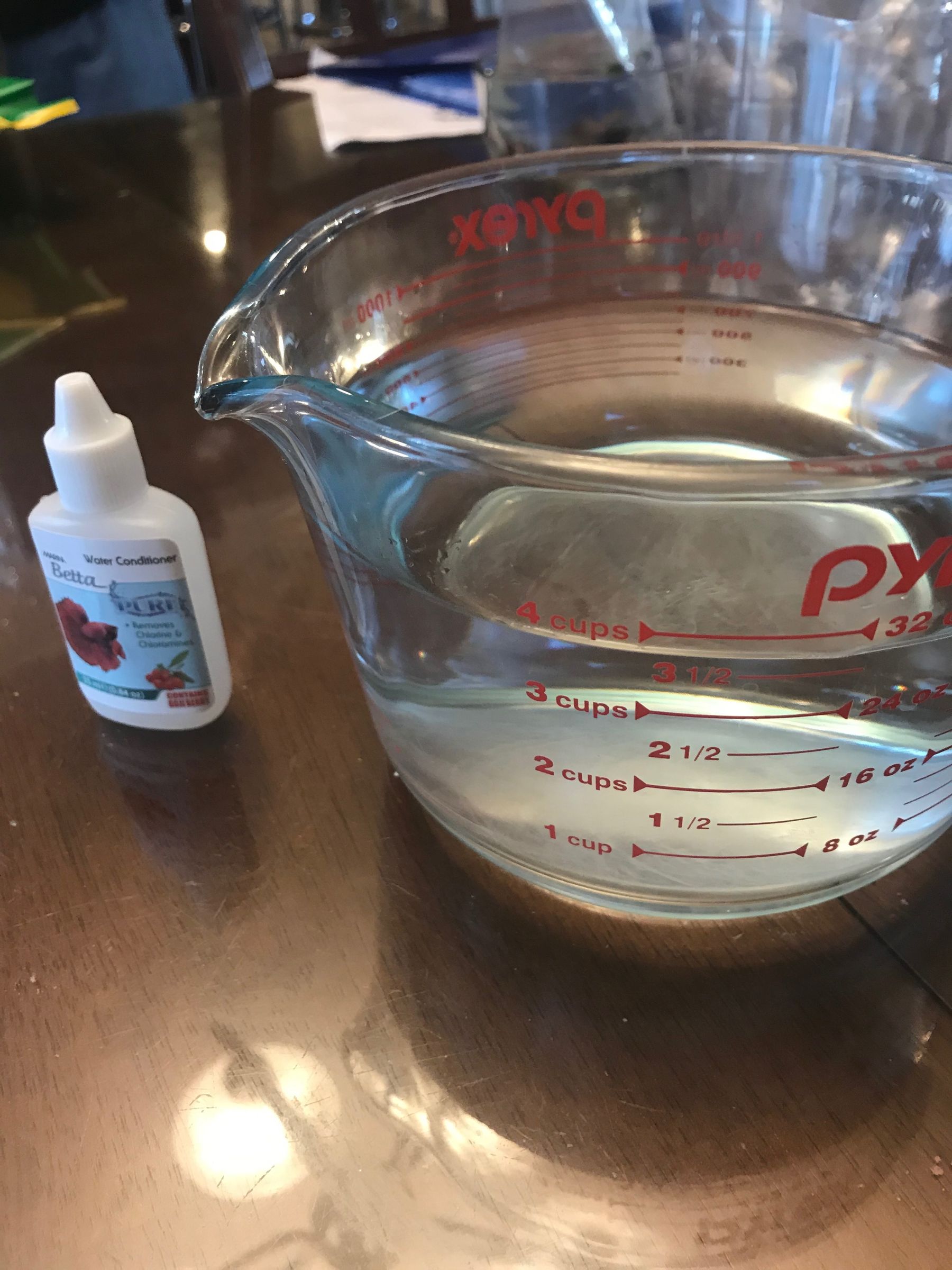 Ecosystem in a Bottle : 11 Steps (with Pictures) - Instructables