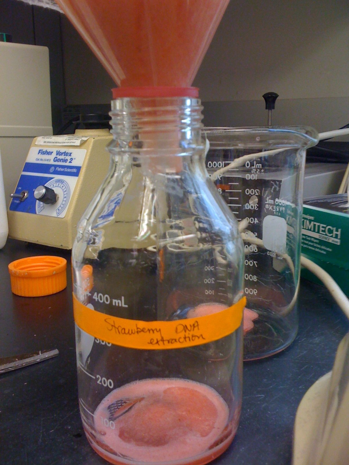 Extracting DNA From Strawberries : 12 Steps - Instructables