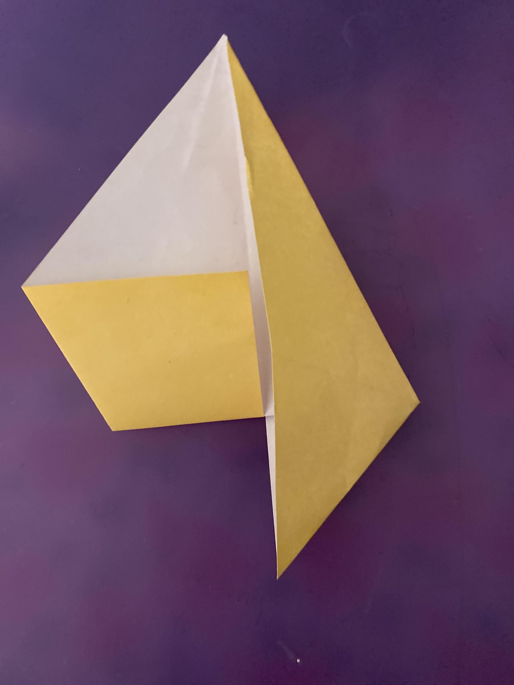 Origami Rat : 27 Steps - Instructables