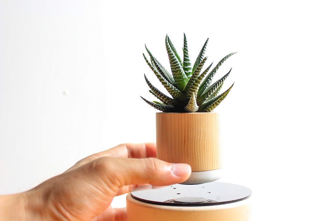 Arduino Air Bonsai Levitation : 22 Steps (with Pictures) - Instructables