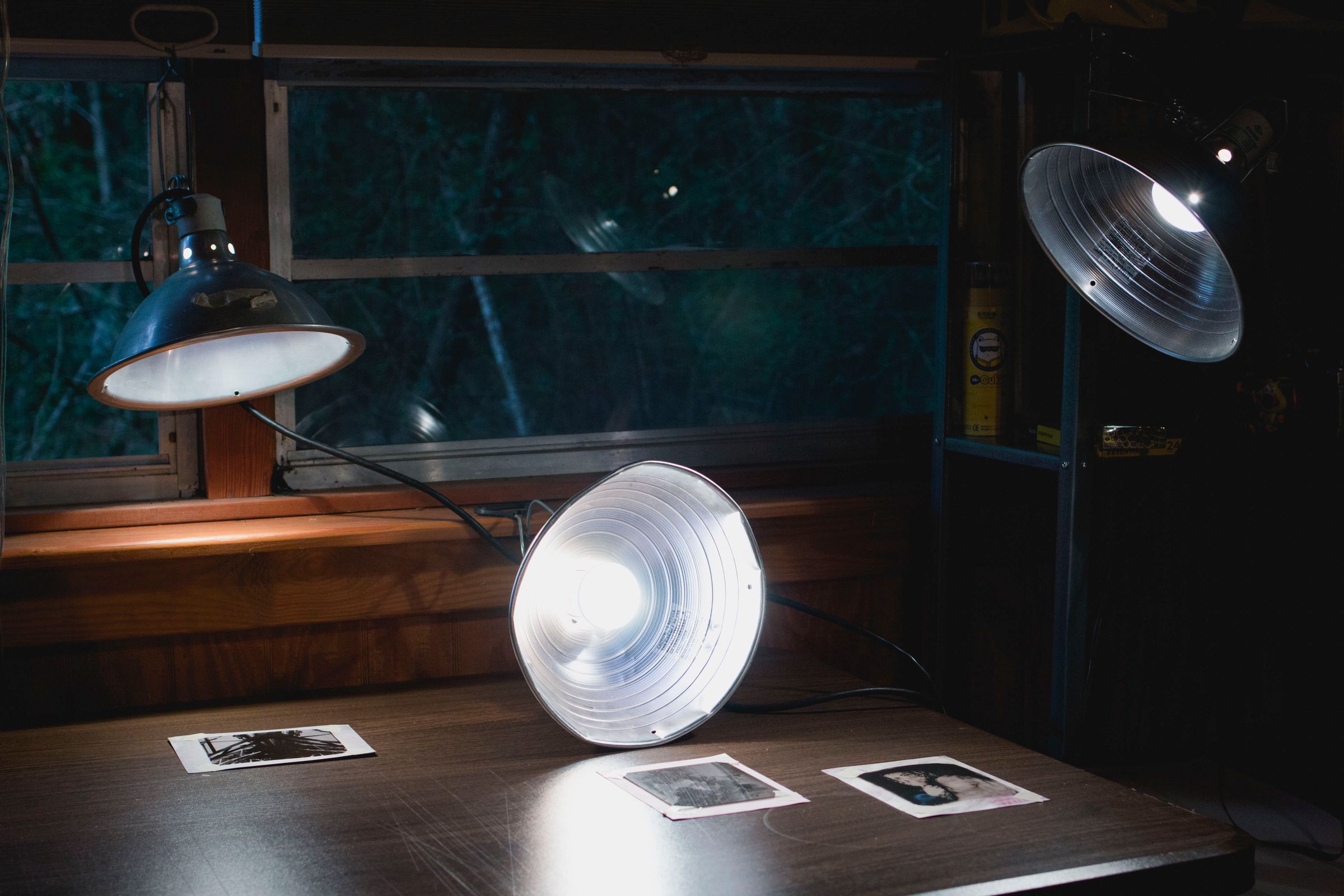 DIY Anthotype Prints: Photography : 5 Steps (with Pictures) - Instructables