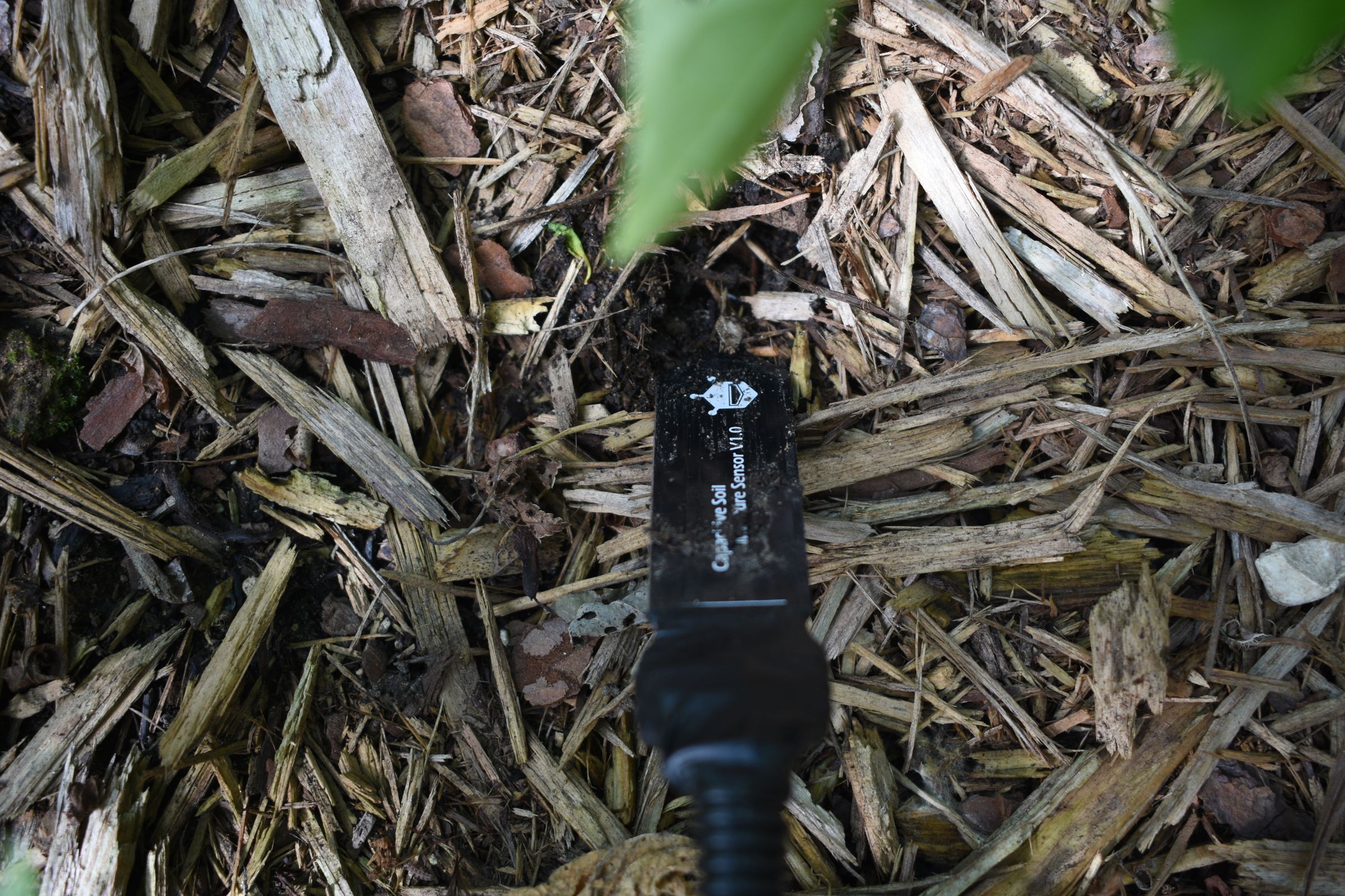 Automated Garden System Built on Raspberry Pi for Outdoors or Indoors ...