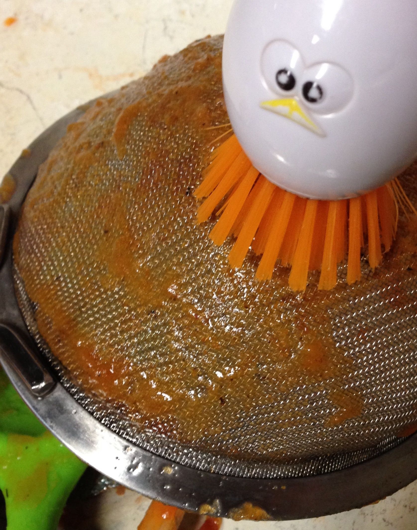 Harvesting, Processing, Cooking - Native Persimmon Bread : 18 Steps ...