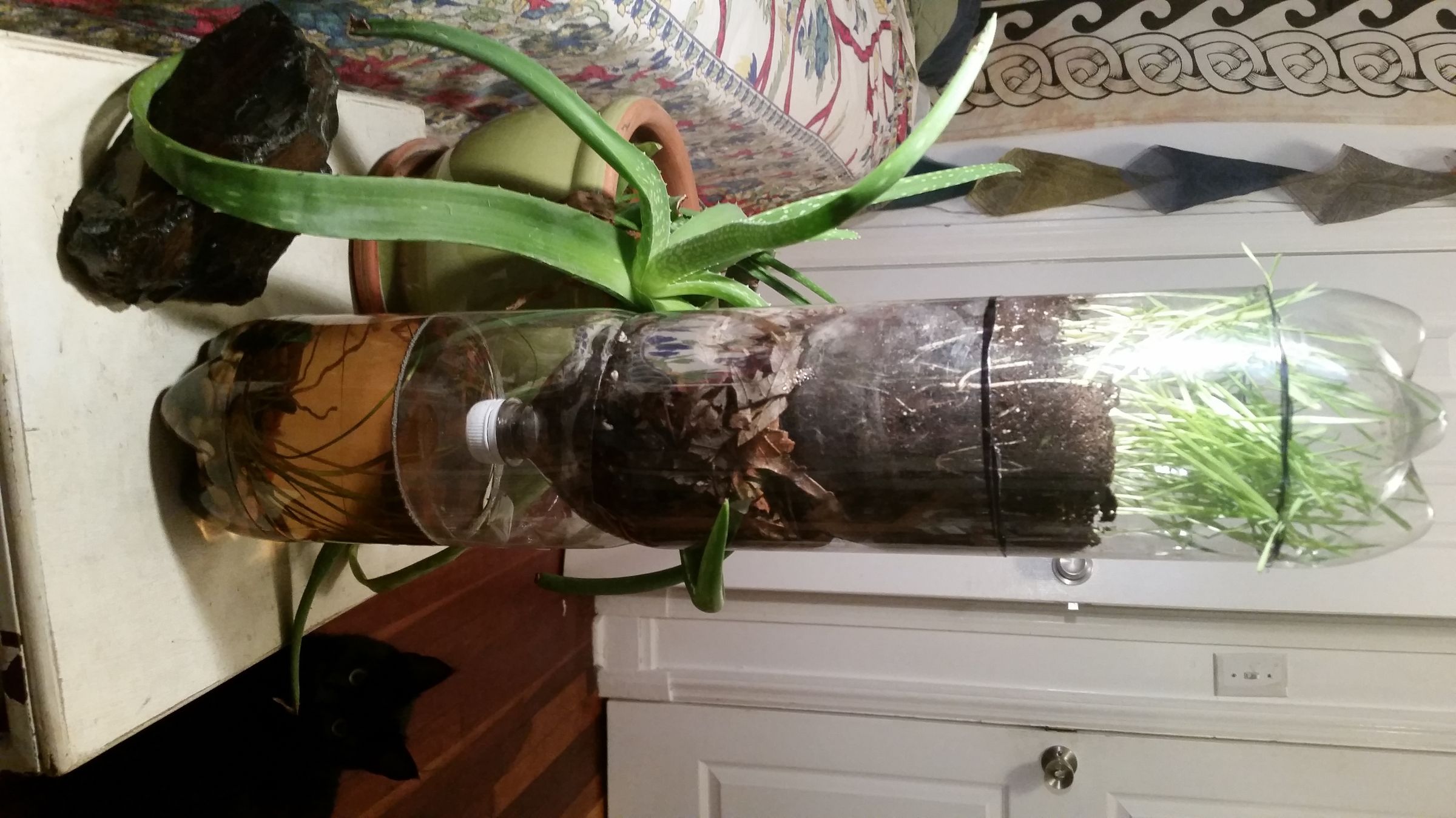 Eco-Column : 8 Steps (with Pictures) - Instructables