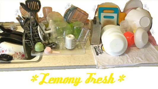 Extreme Dish Washing Made Easy! : 5 Steps (with Pictures) - Instructables
