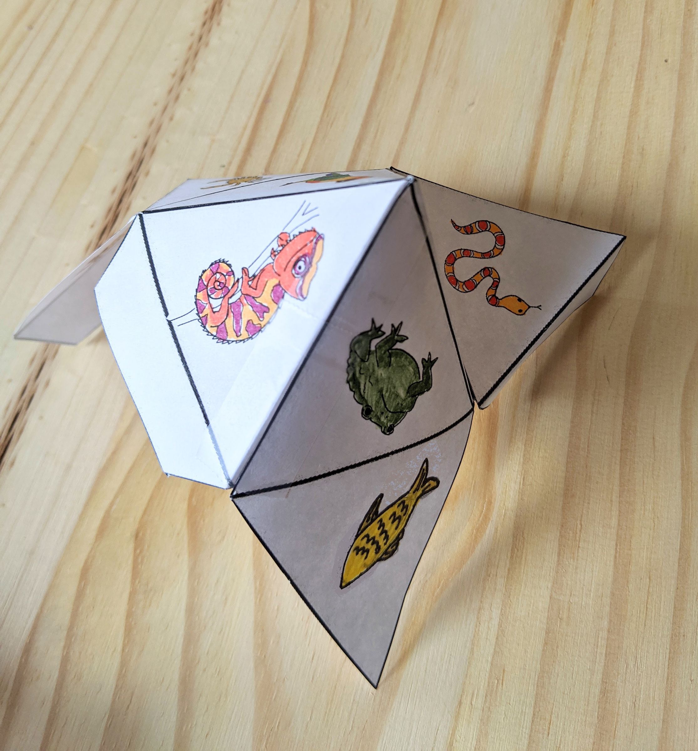 DIY Animal Dice Game : 3 Steps (with Pictures) - Instructables