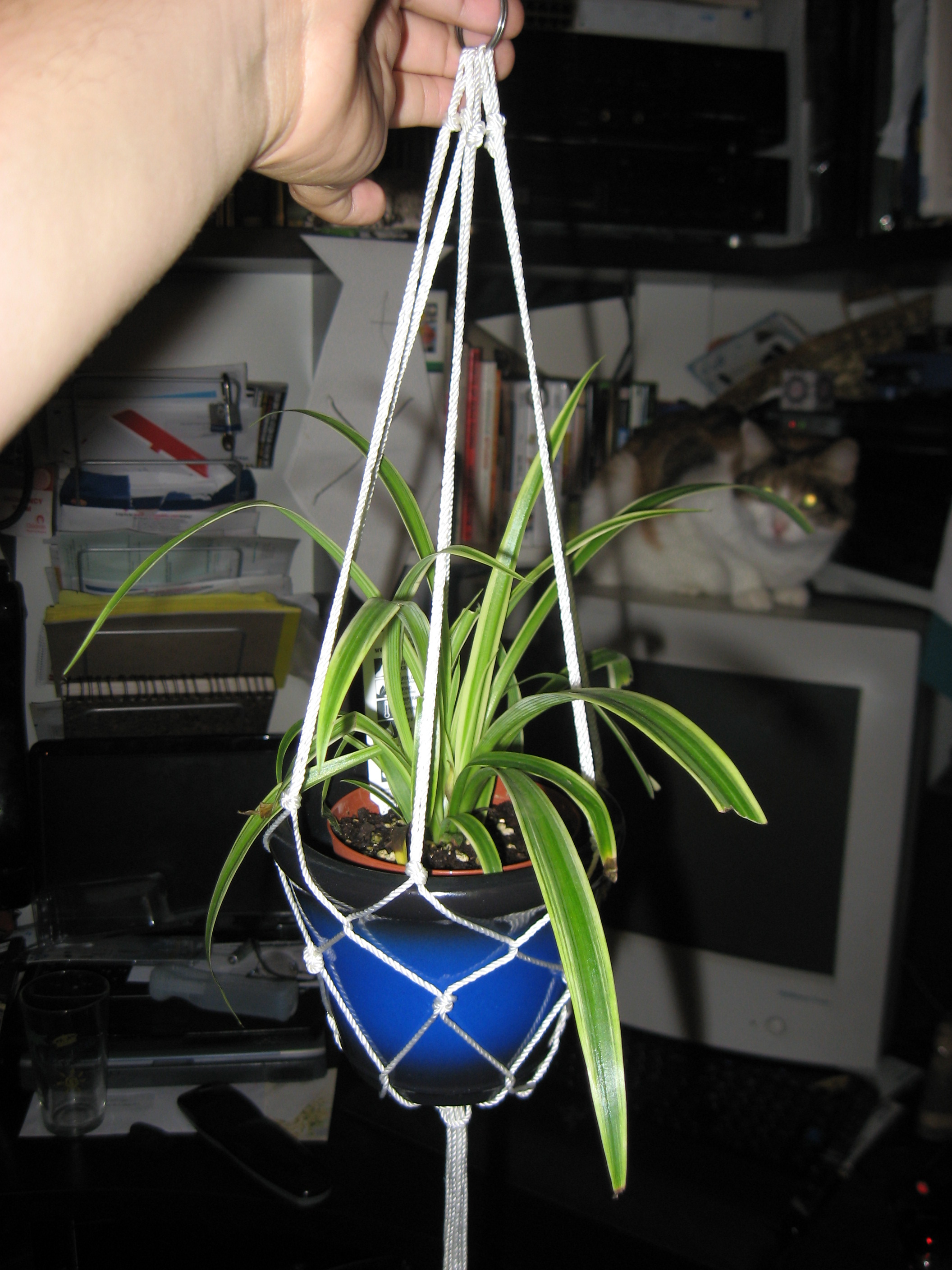 How to Make a Hanging Potted Plant Rope Holder: Kinda : 6 Steps ...