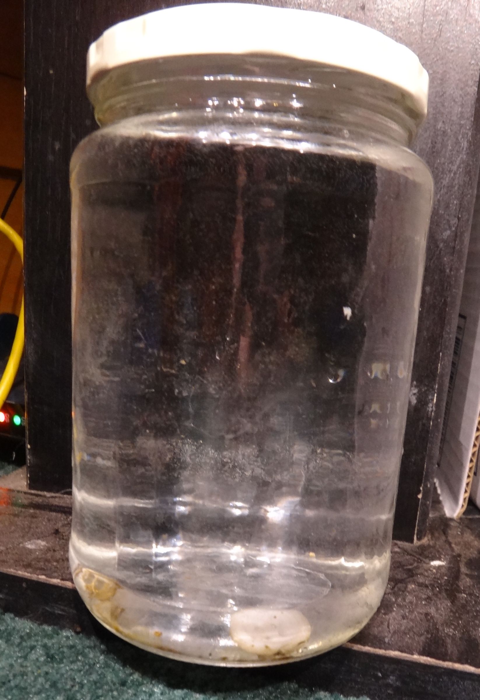 How to Make a Glowing Black Light Night Light : 4 Steps - Instructables