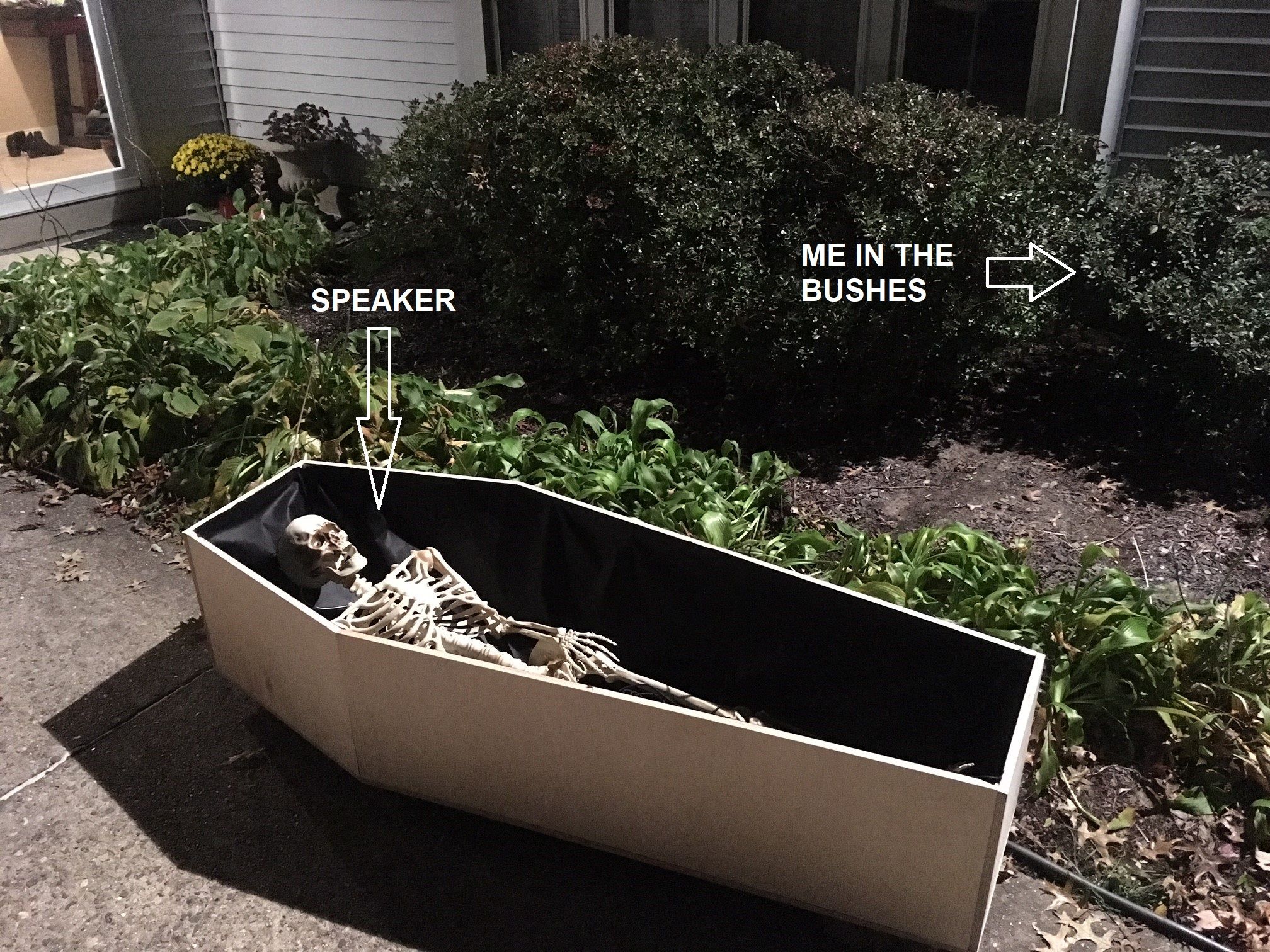 Halloween Pop-Up Skeleton (In a Coffin) : 8 Steps (with Pictures ...