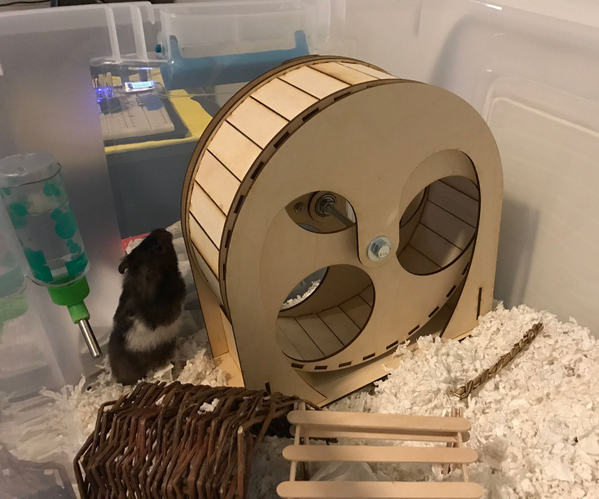 Ultimate Hamster Tracker Wheel – Featuring: Mbed C++, LCD Display ...