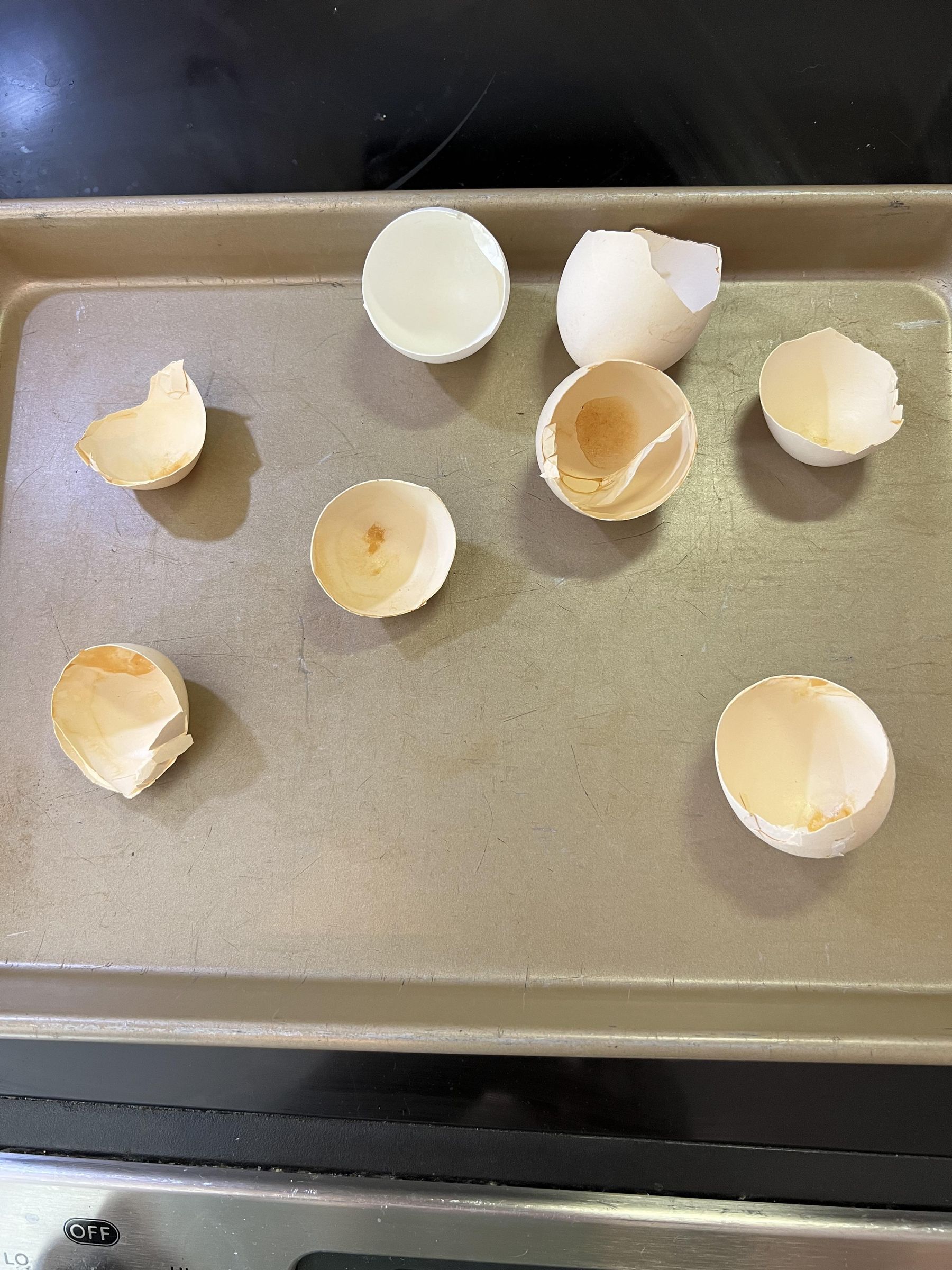 Healthful Egg Shells! : 9 Steps (with Pictures) - Instructables