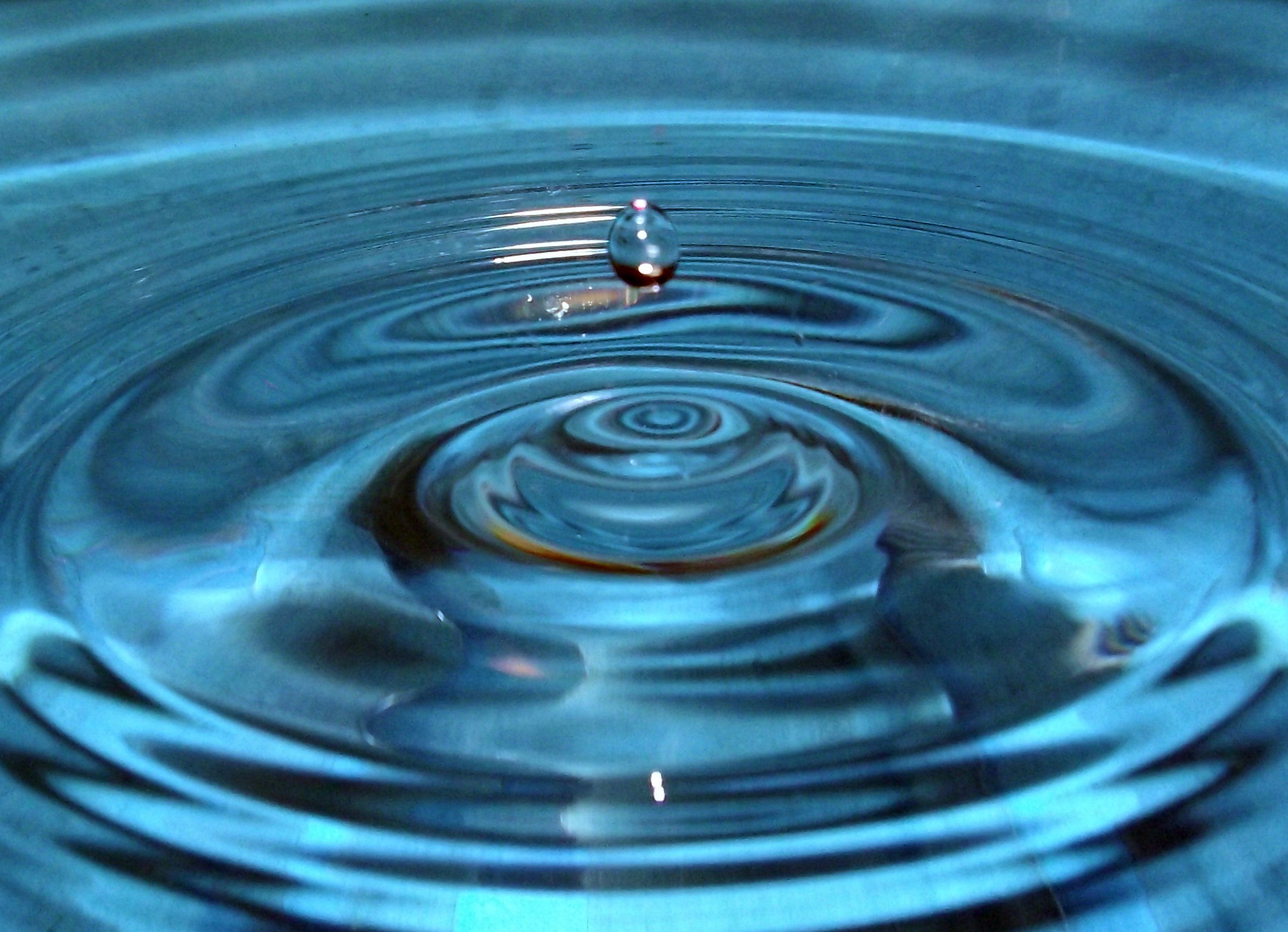 Step by Step Guide on How to Capture Water Droplets With a Dslr Camera ...