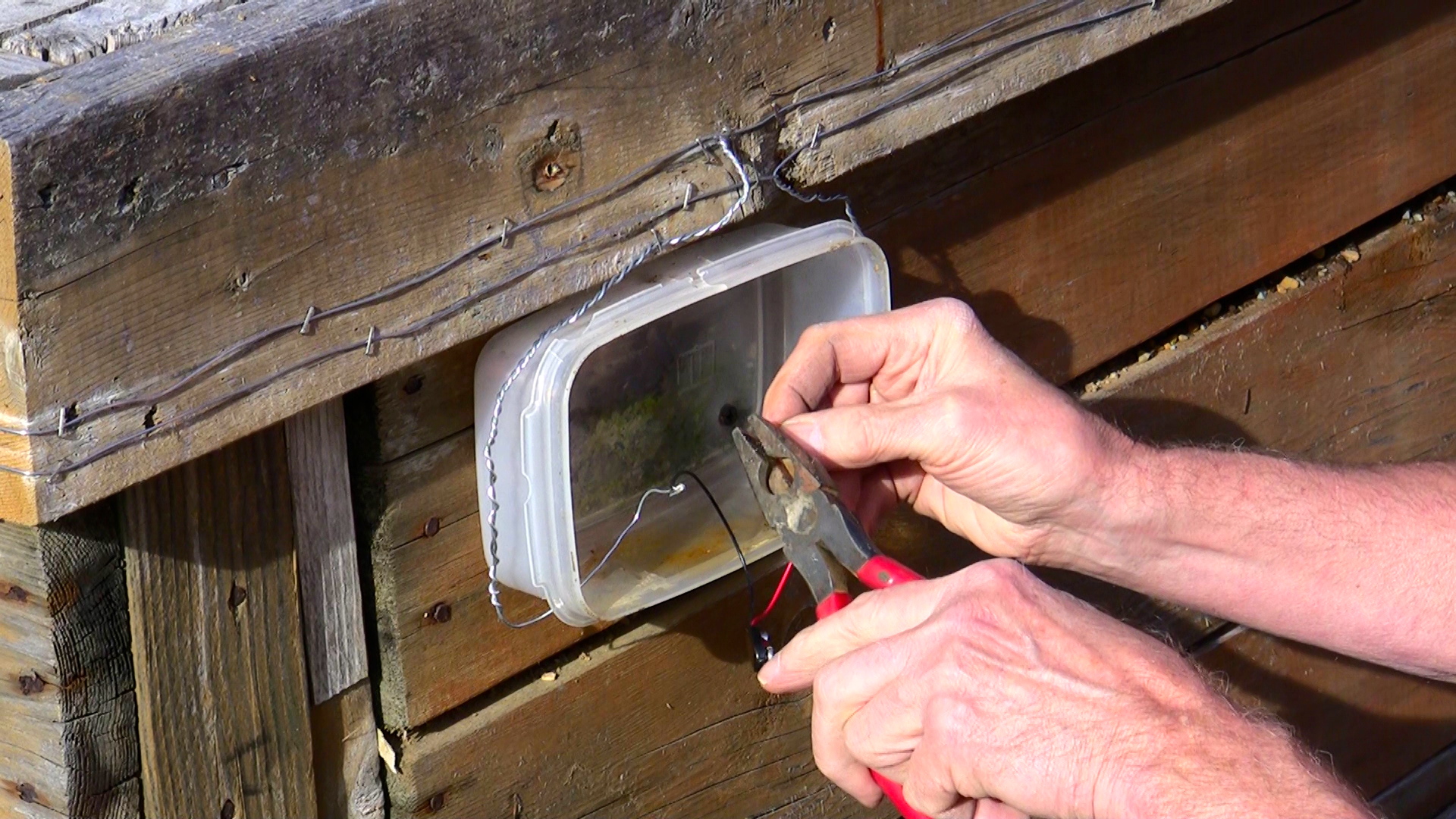 Electric Garden Slug Fence : 4 Steps (with Pictures) - Instructables