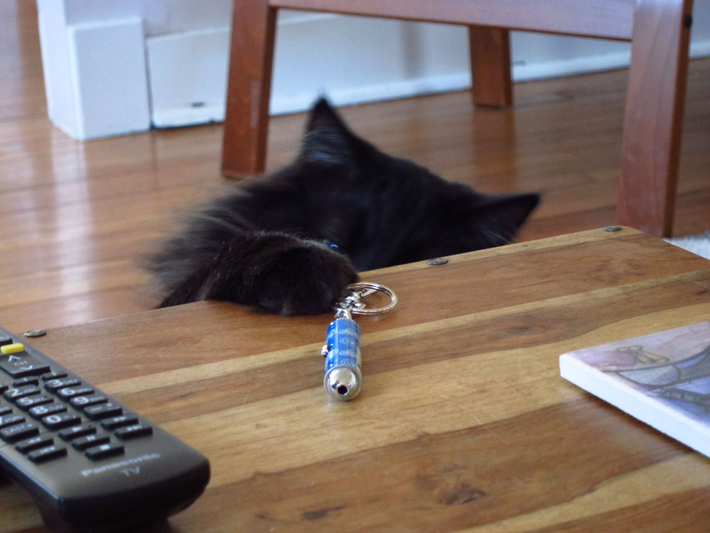 CatBot: Automated Cat Laser : 8 Steps (with Pictures) - Instructables