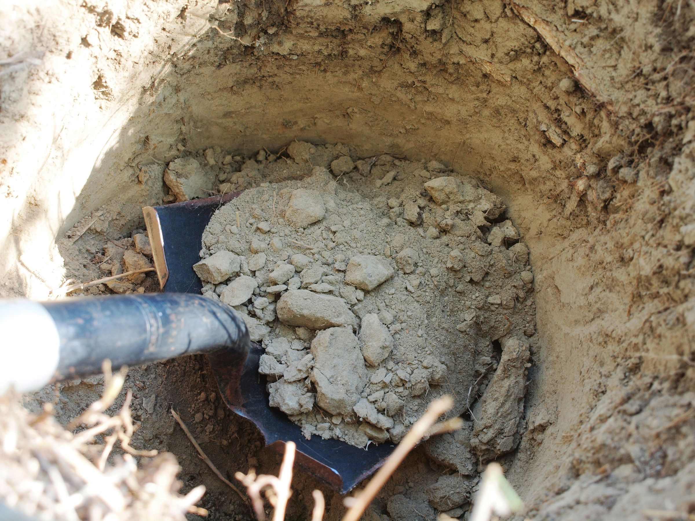 When You Have to Say Goodbye, How to Properly Bury a Pet. : 8 Steps ...